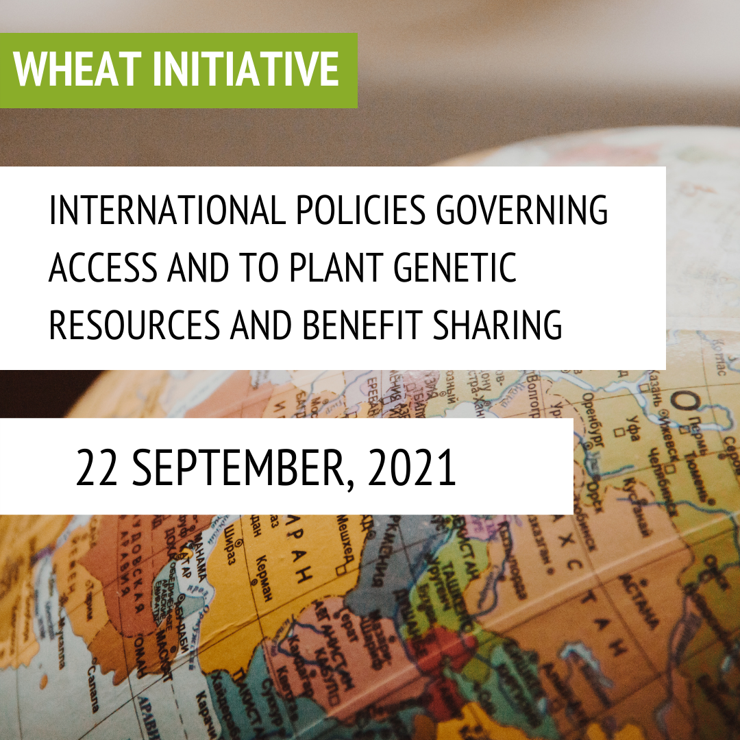Find here the Wheat Initiative's workshops, Expert Working Group ...