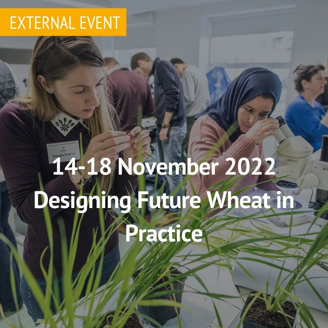 Find here the Wheat Initiative's workshops, Expert Working Group ...