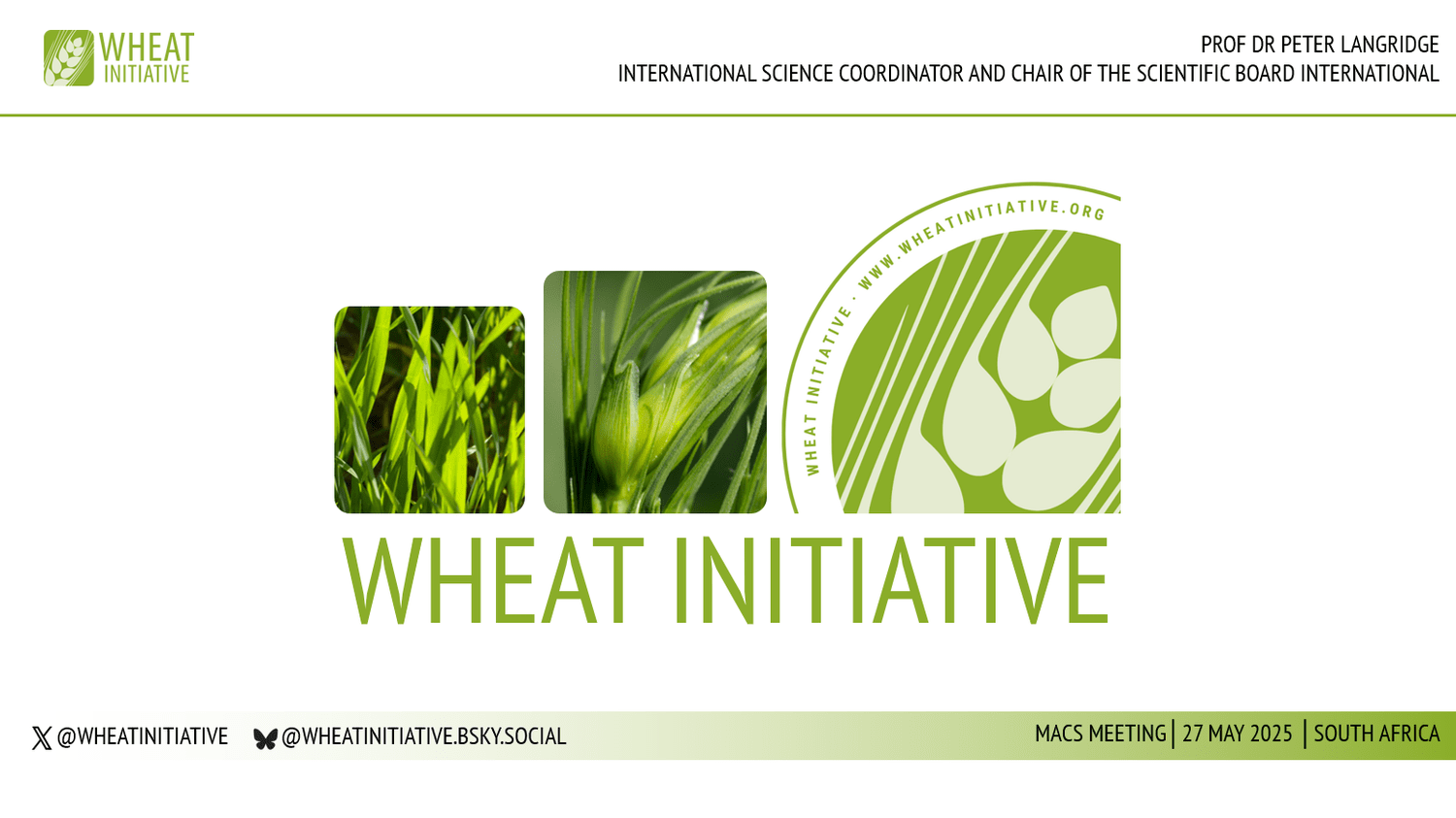 Wheat initiative