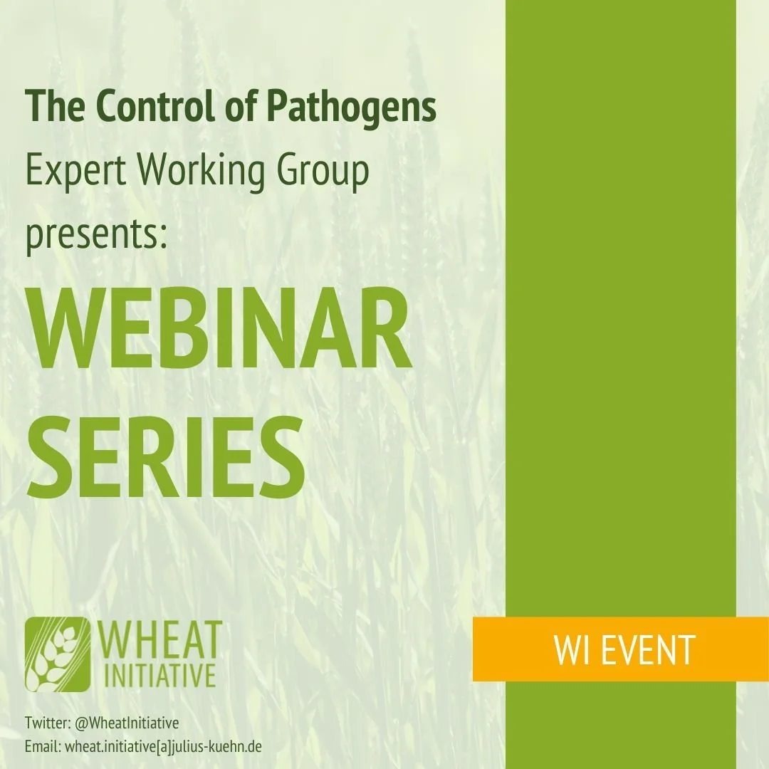 WORKSHOP AND PRESENTATIONS — Wheat initiative