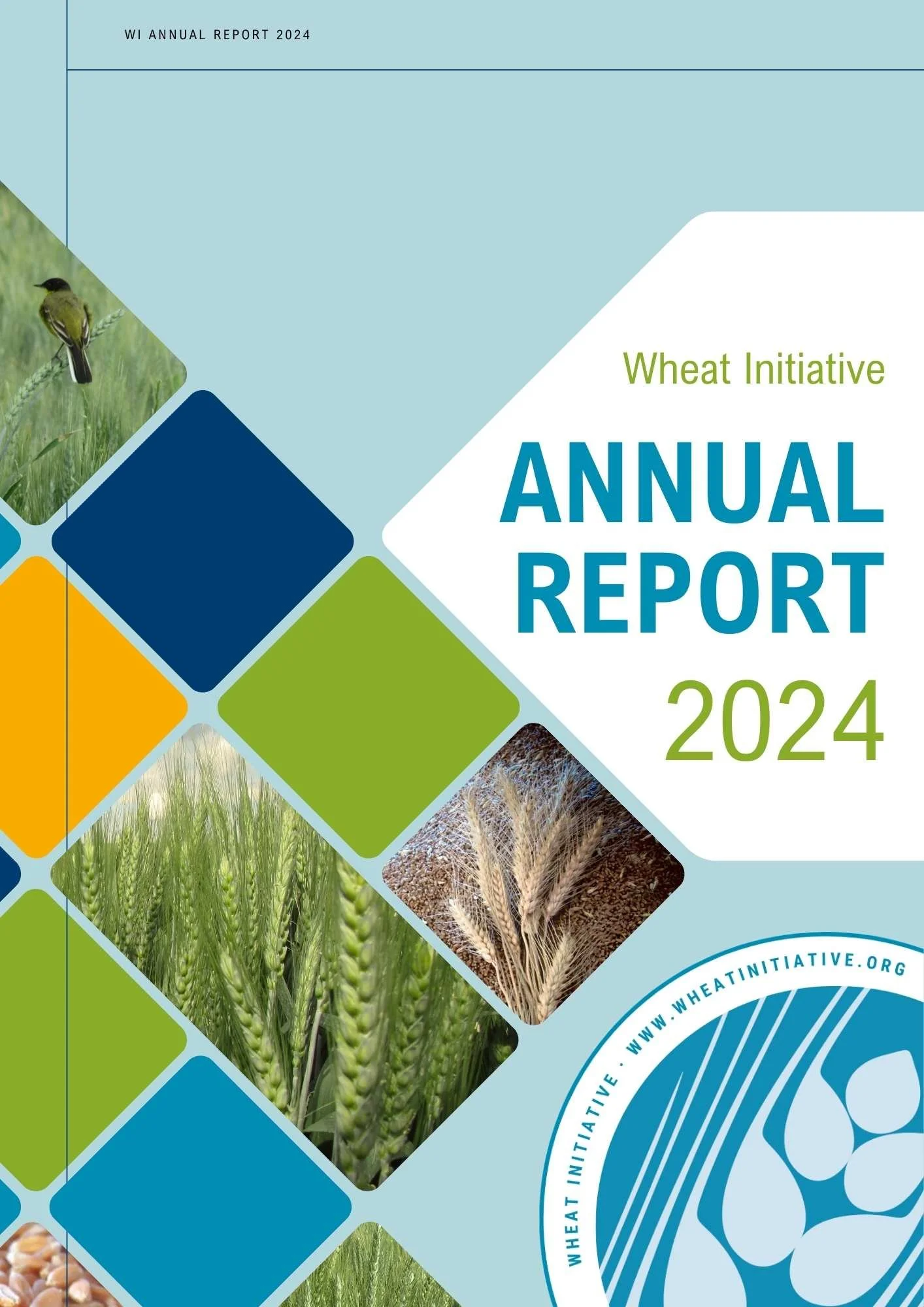 Wheat initiative