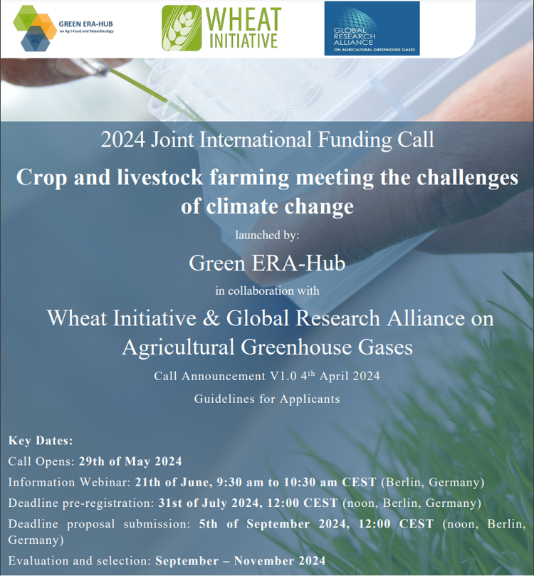 Wheat initiative