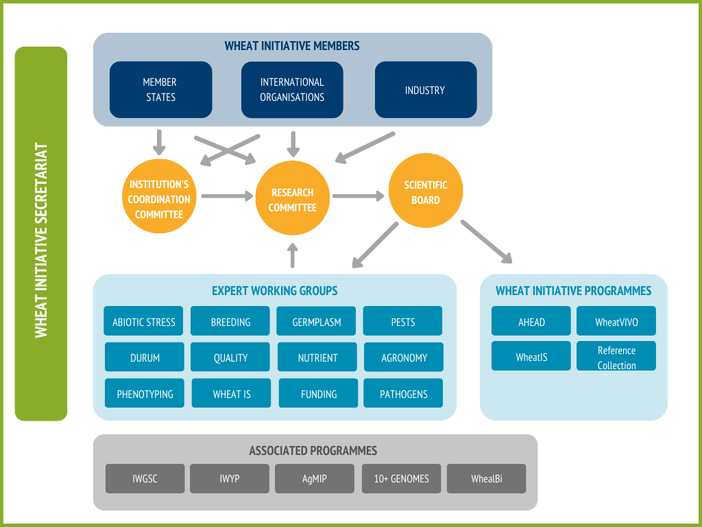 Wheat Initiative — Wheat initiative