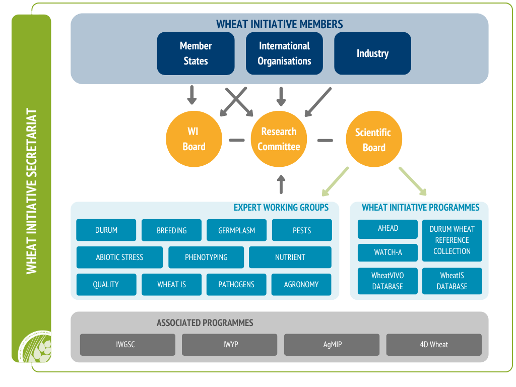 Wheat Initiative — Wheat initiative
