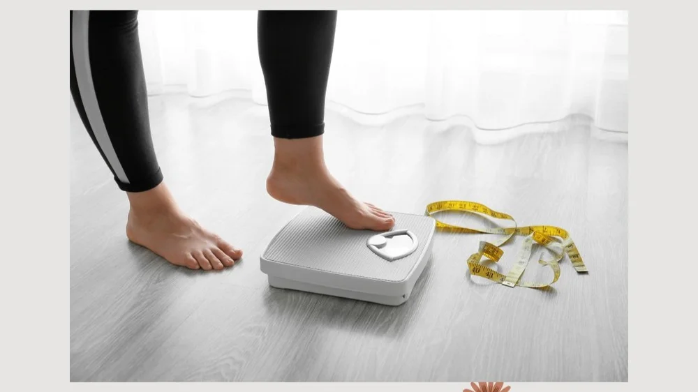 Guided transformation Programs — Wellness Atlas