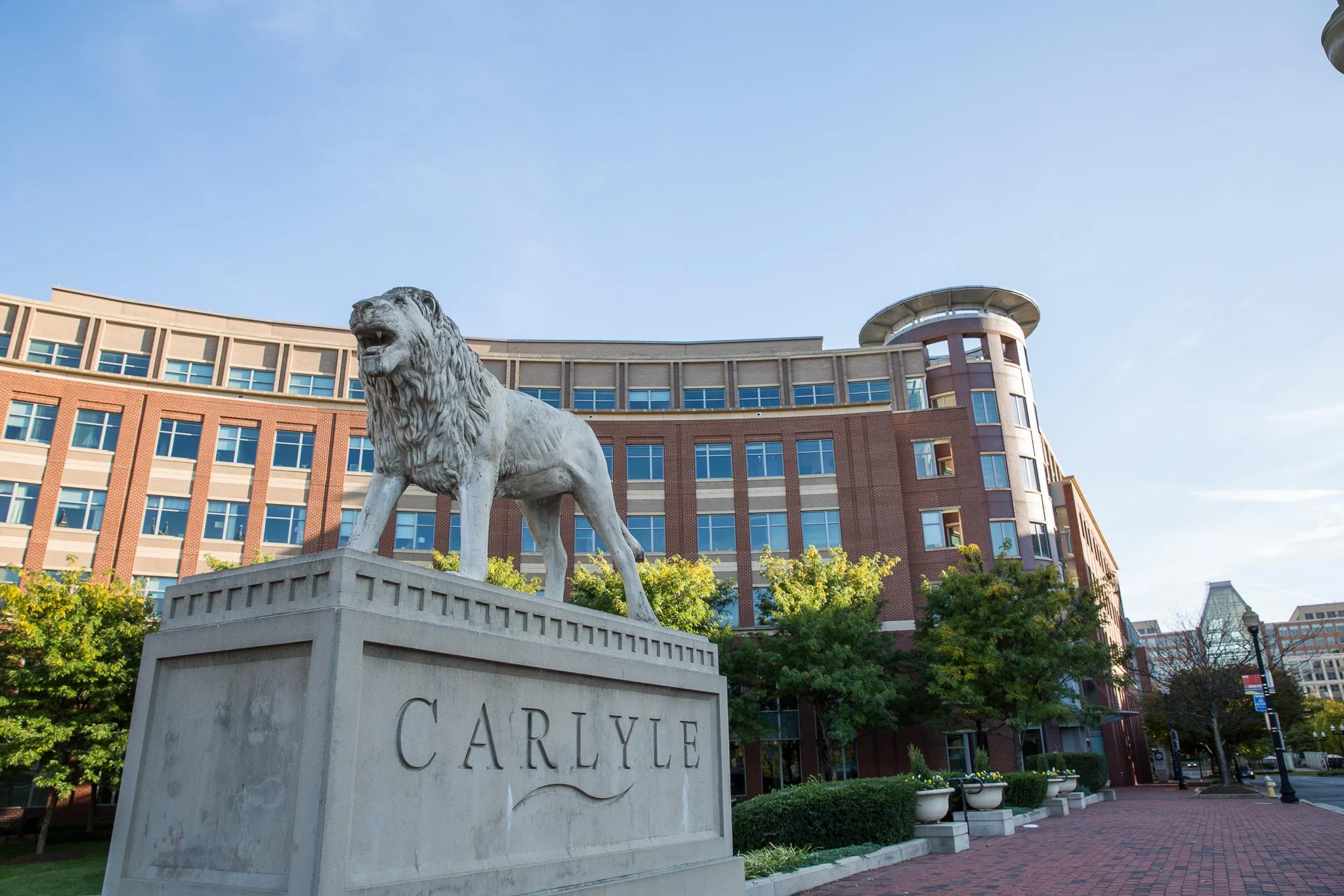 Carlyle Council — NeoNiche Strategies