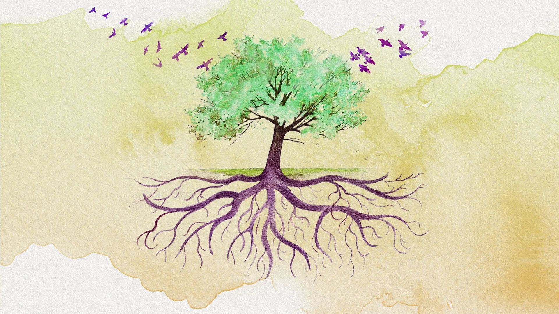 Roots & Wings Foundation