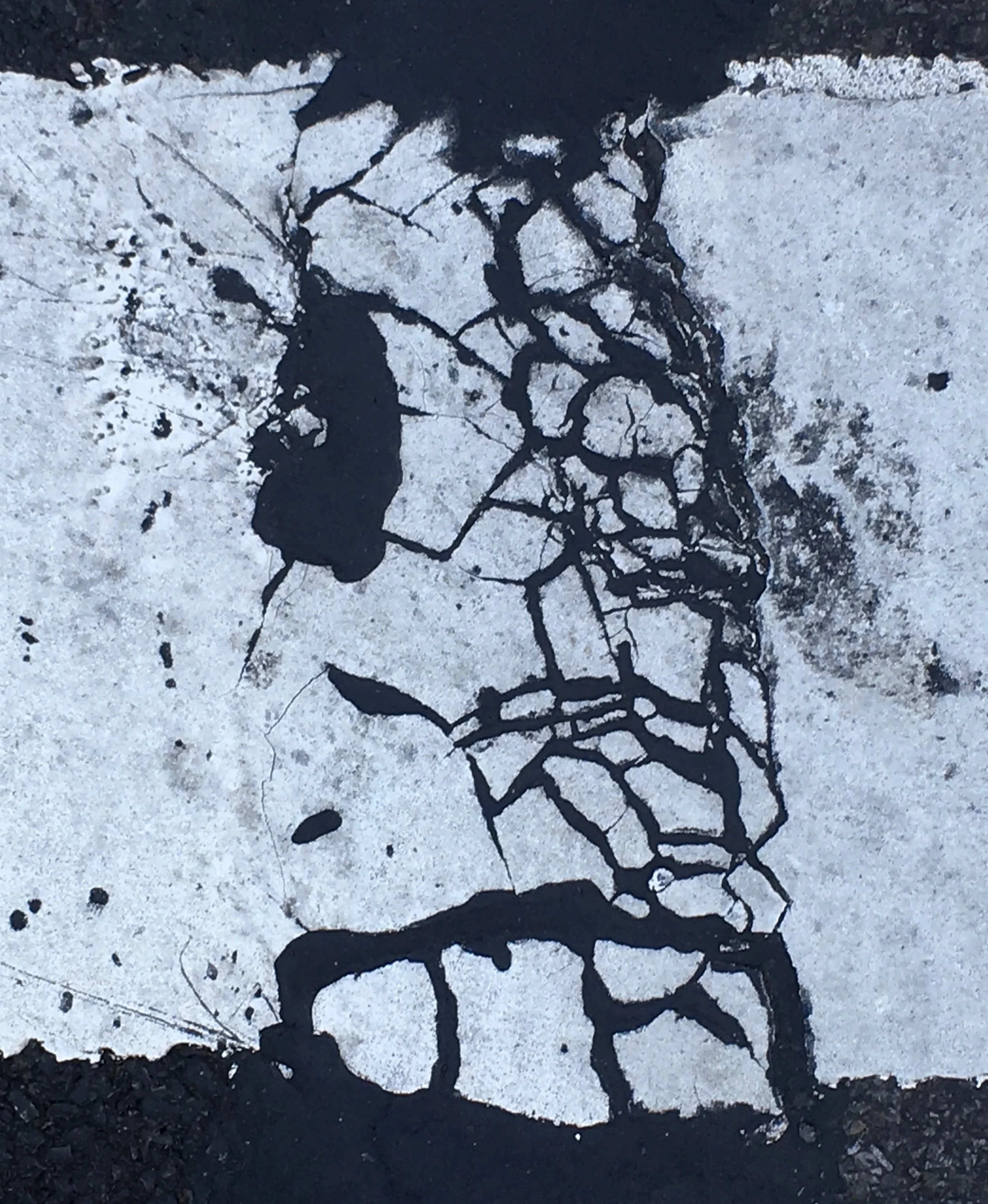 Street — Joshua Loren Feinberg