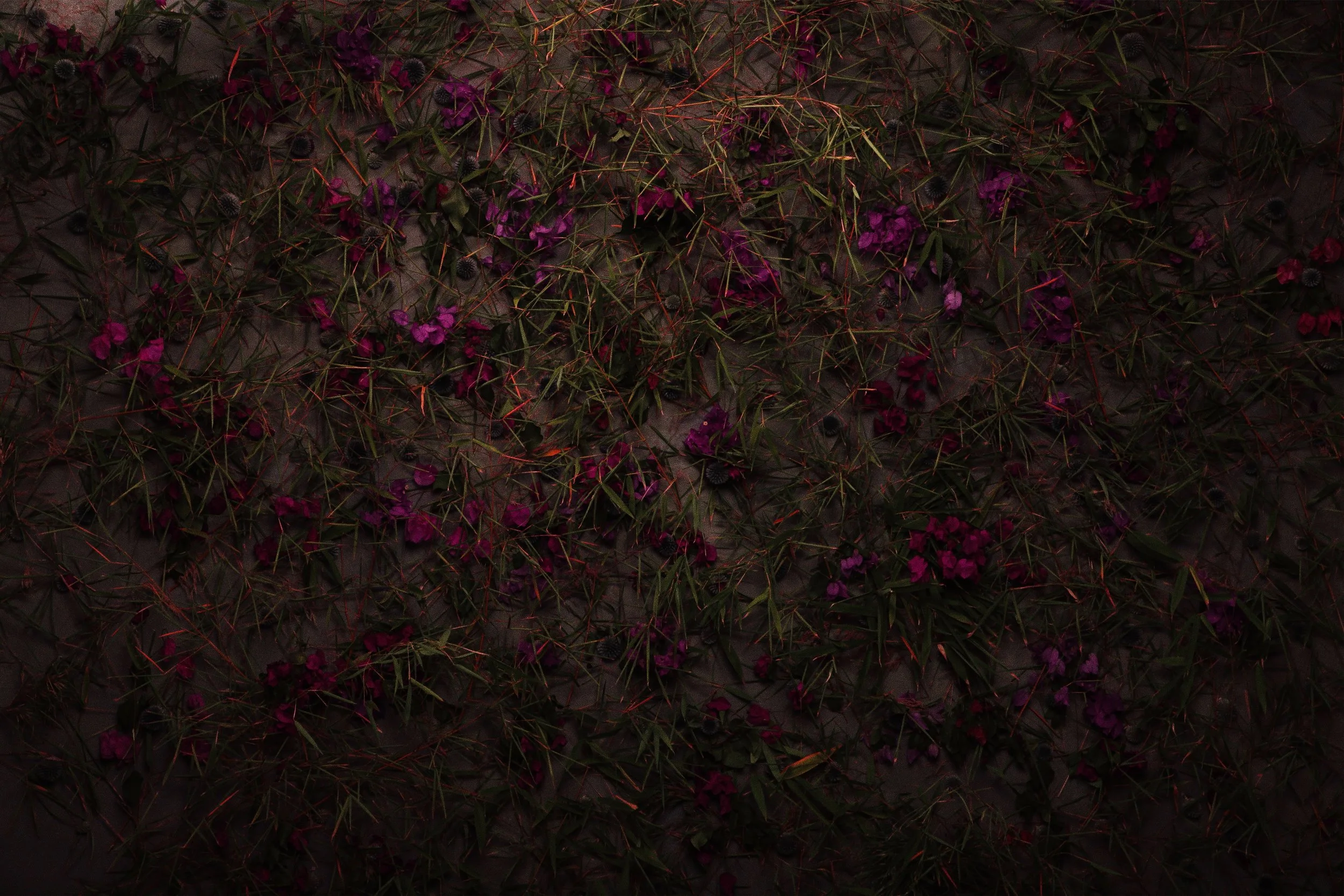 Watchcinema Flower