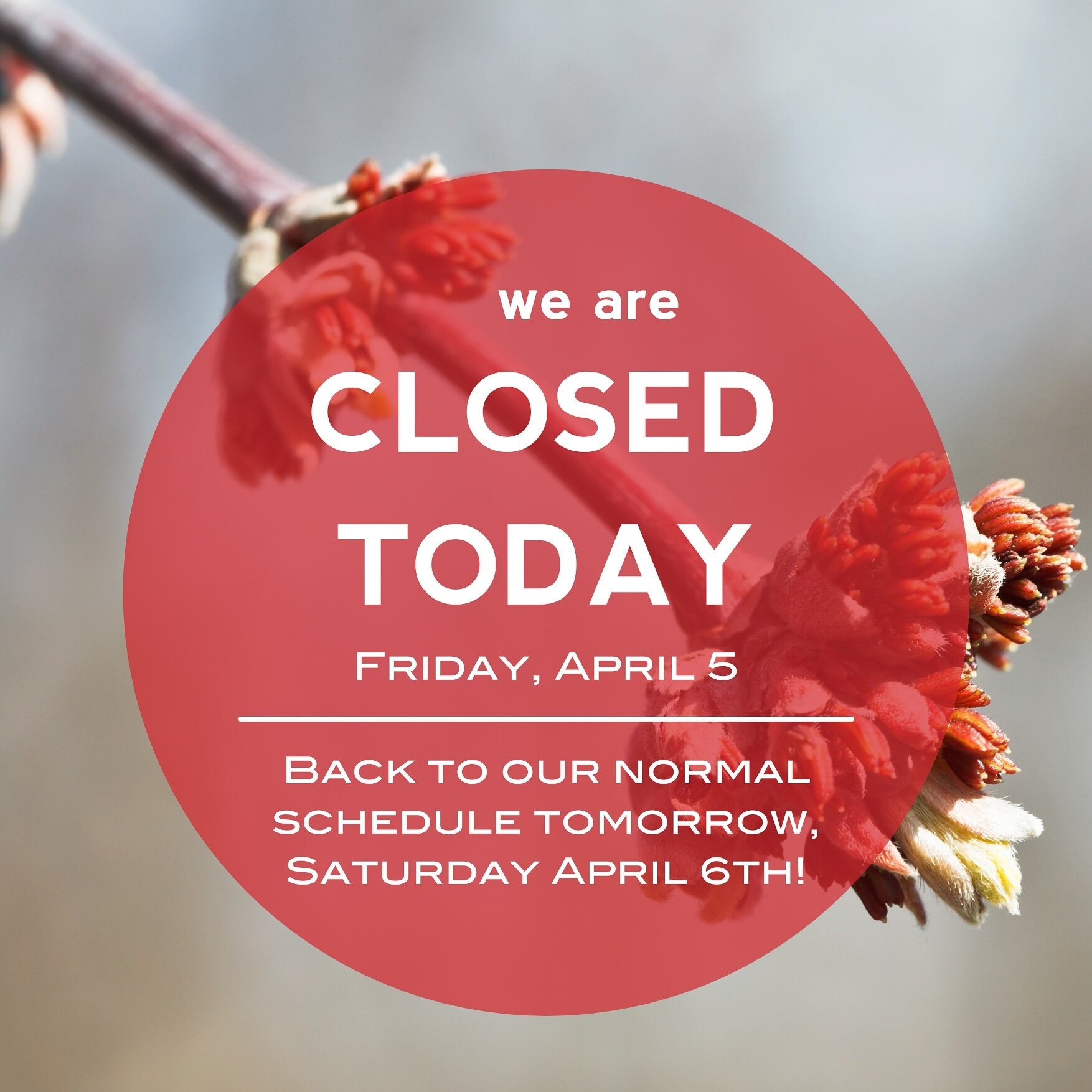 Island Orchard Cider