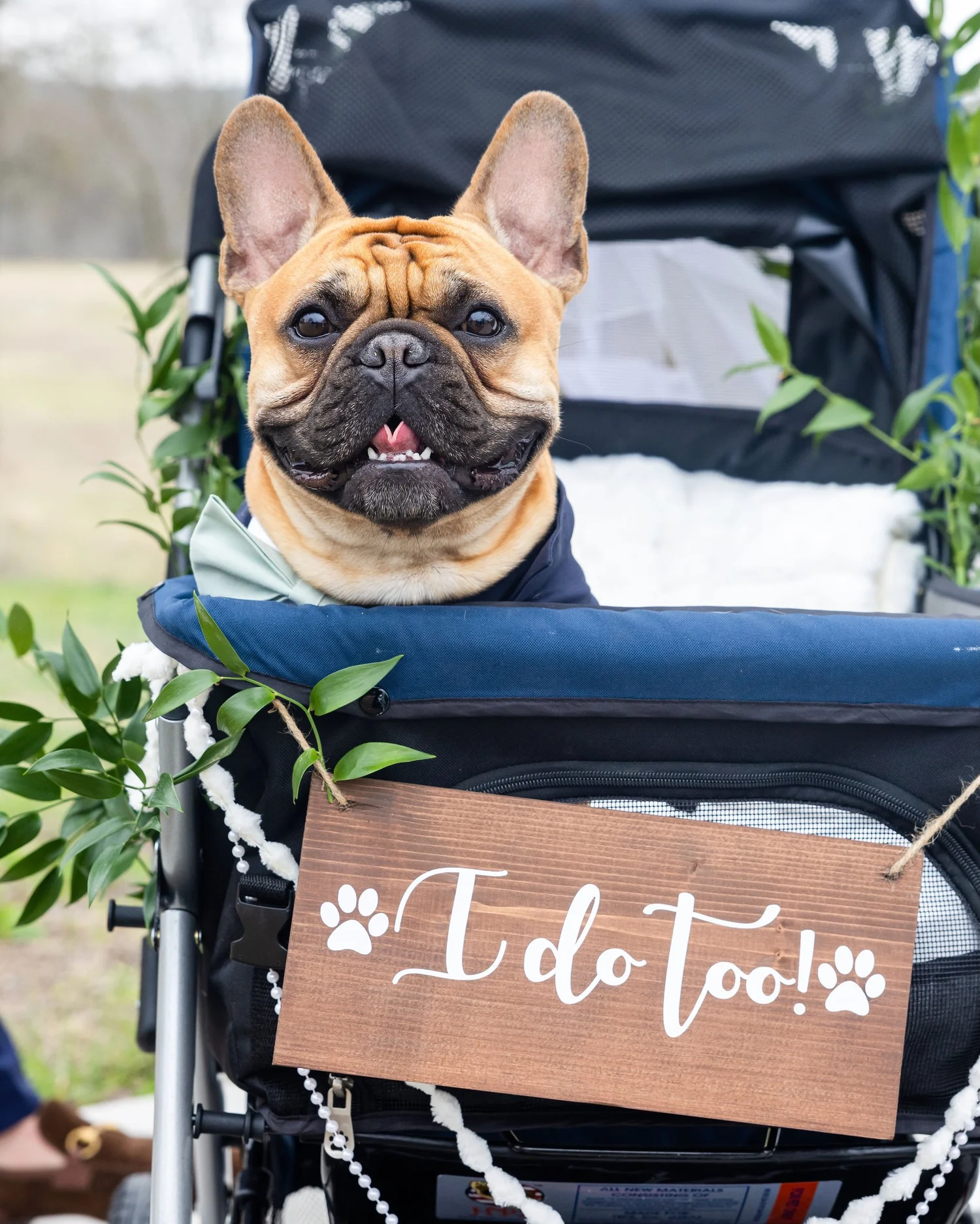 Indoor & Outdoor Wedding Venue in Austin | HighPointe Estate