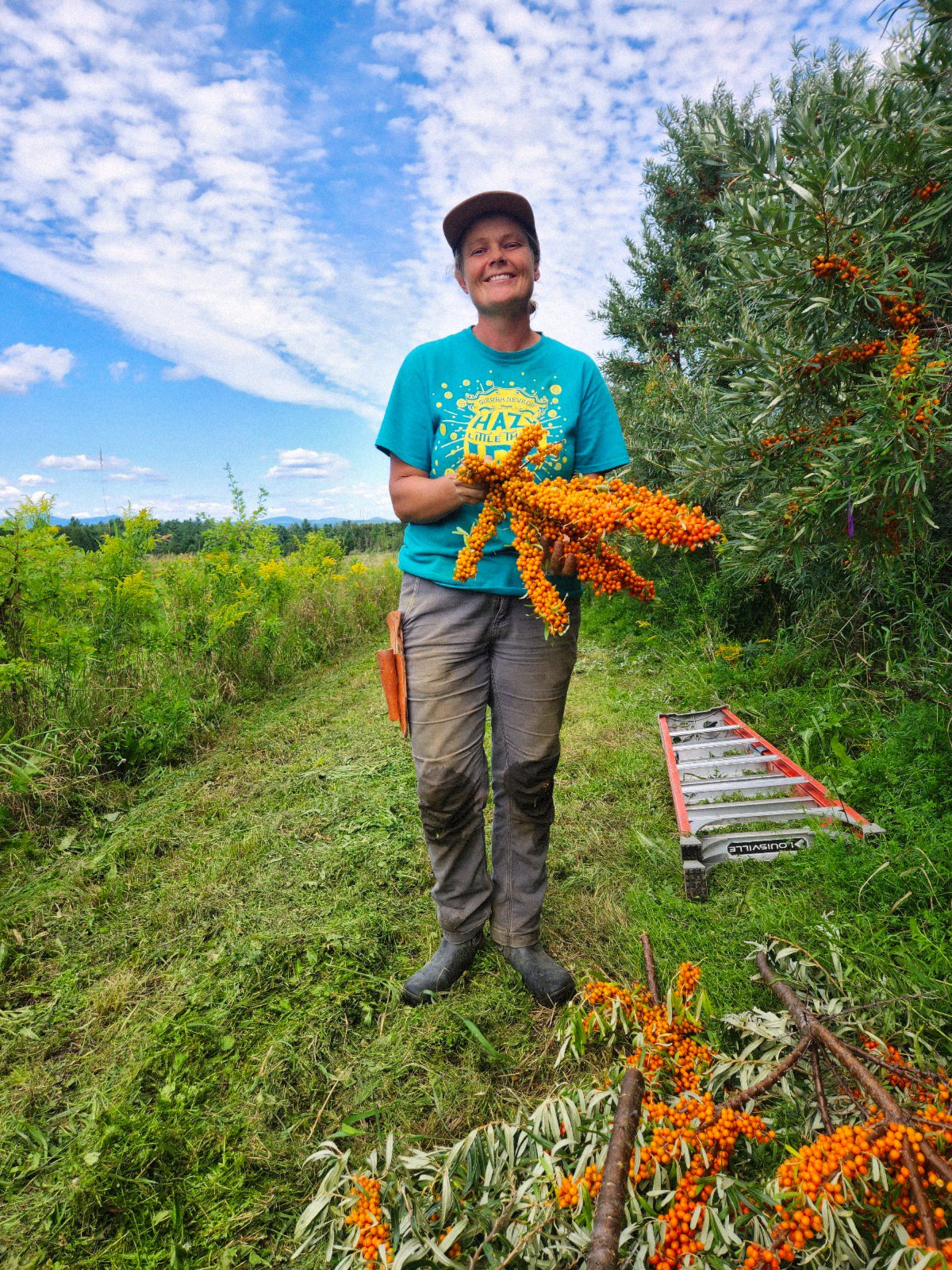 Our Team — Breadtree Farms