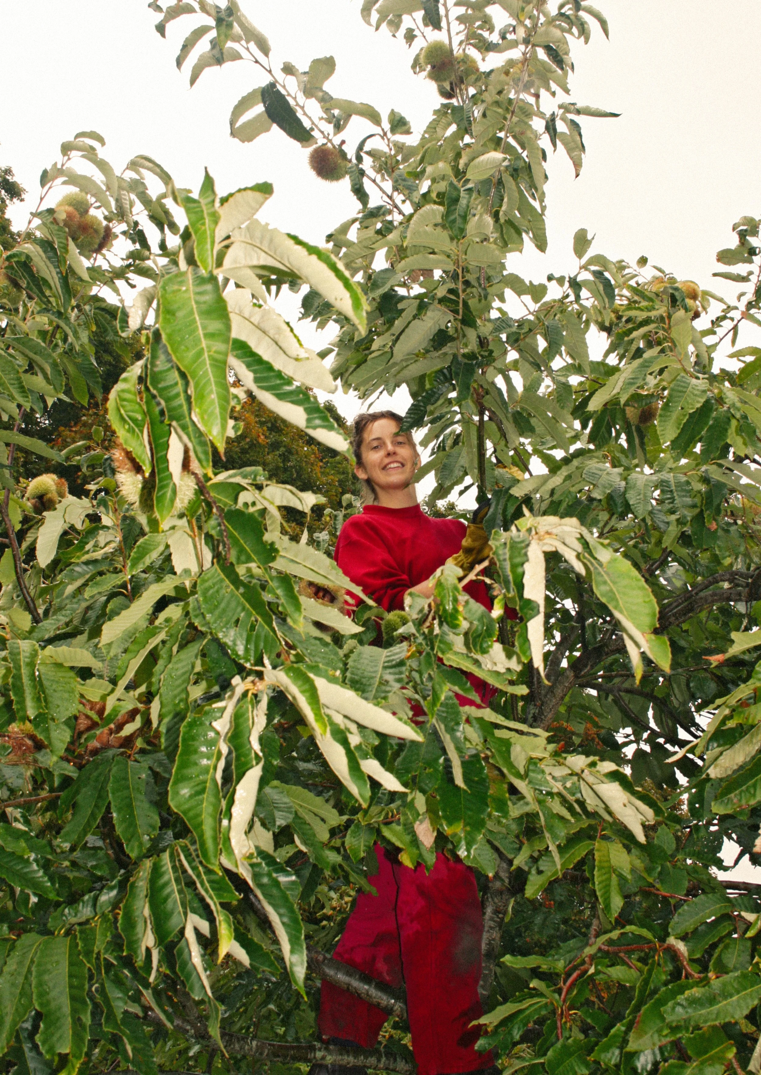 Our Team — Breadtree Farms