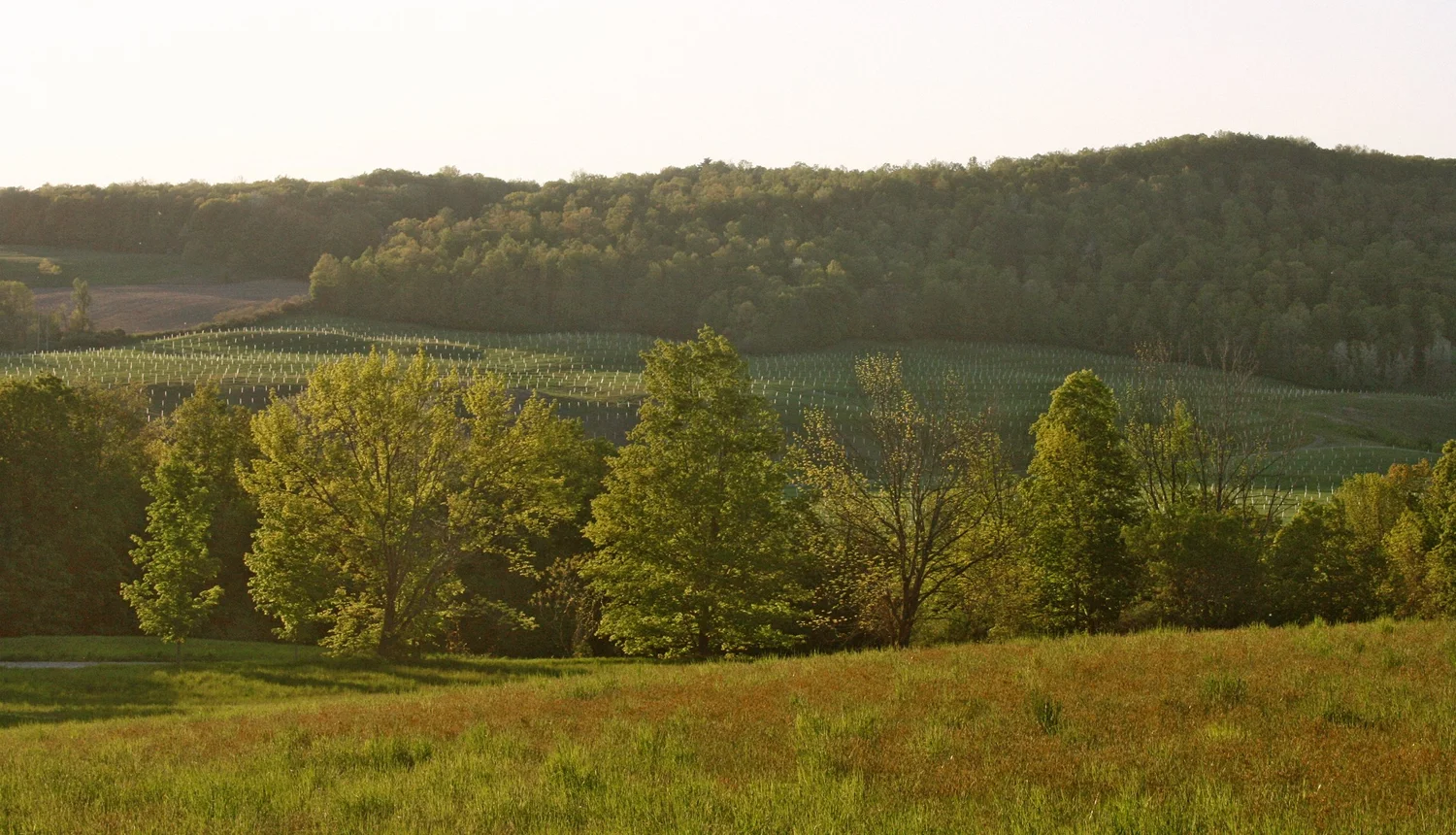 Where We Work — Breadtree Farms