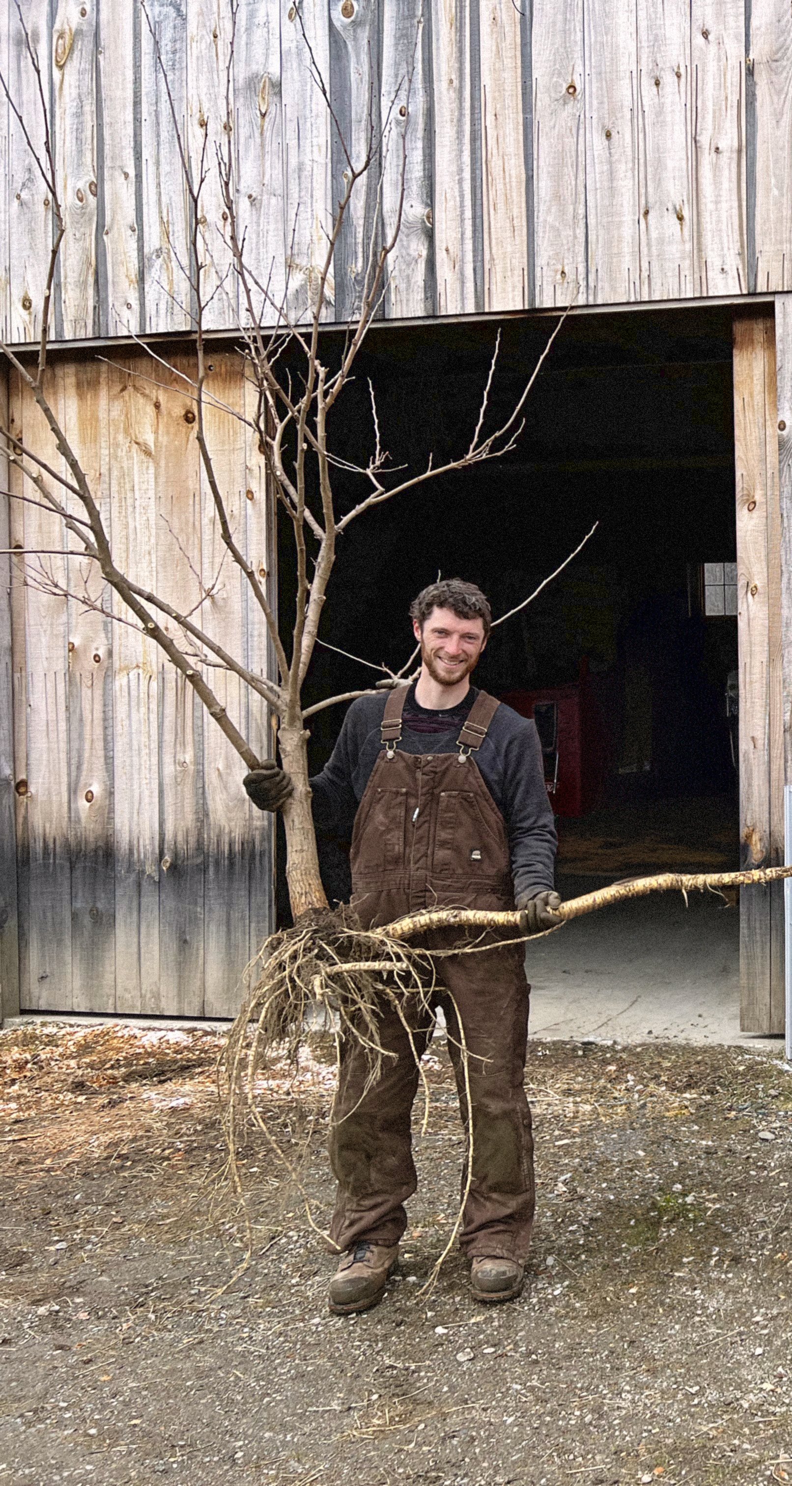 Our Team — Breadtree Farms