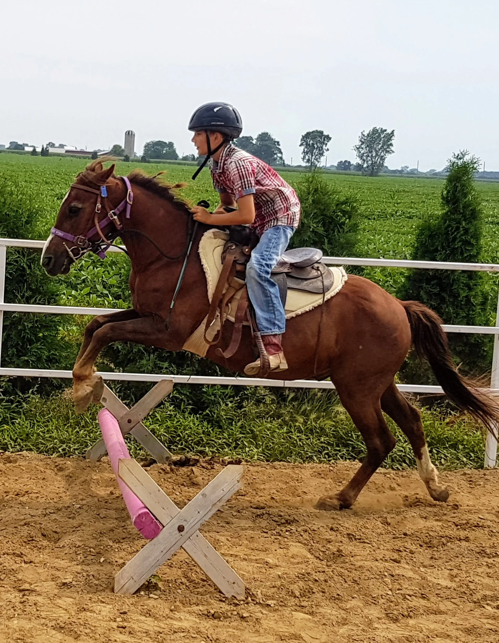 Amherstburg Summer Camp - Kids Horseback Riding Camp — Sarah Parks ...