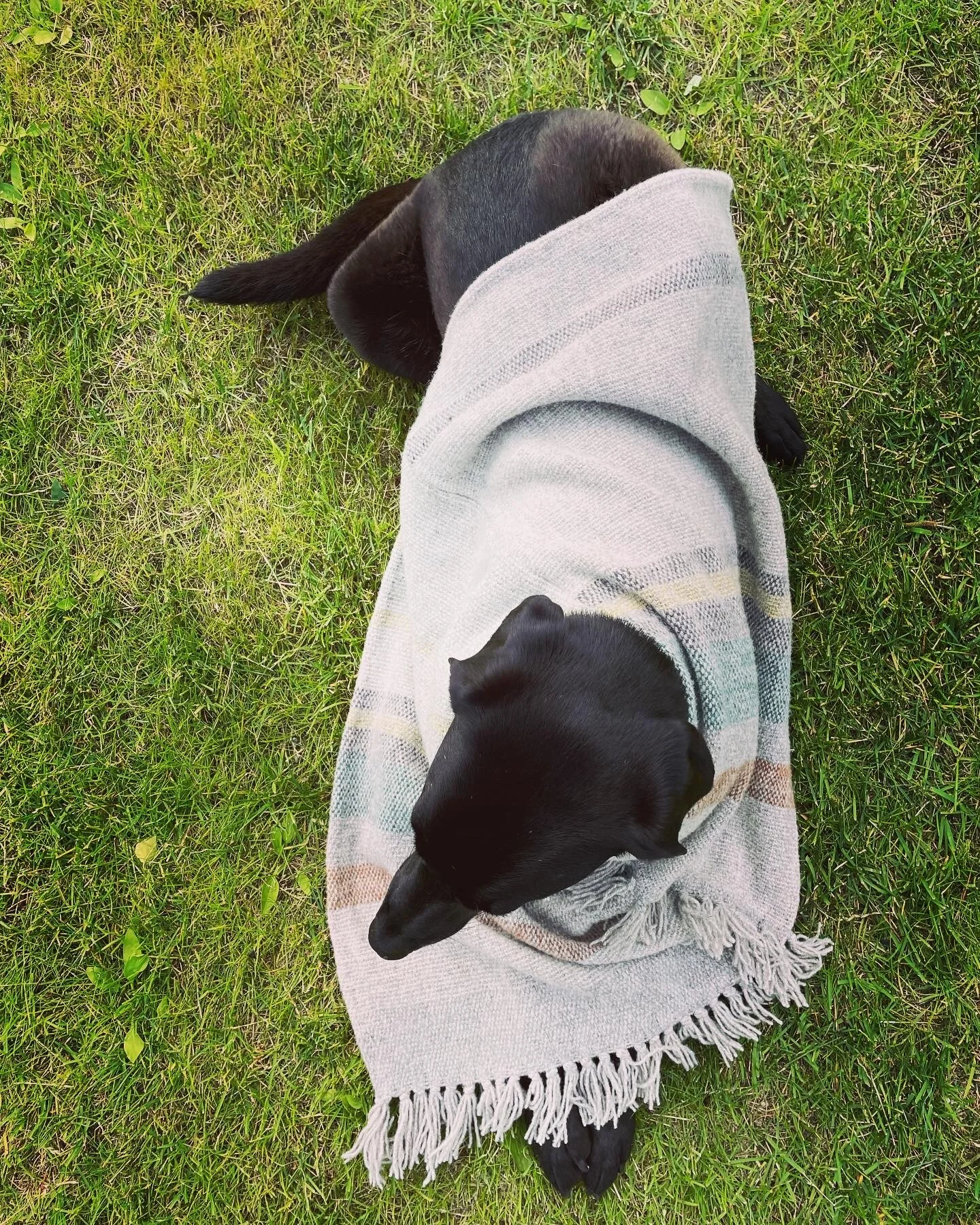 Store — Yule Farm, LLC