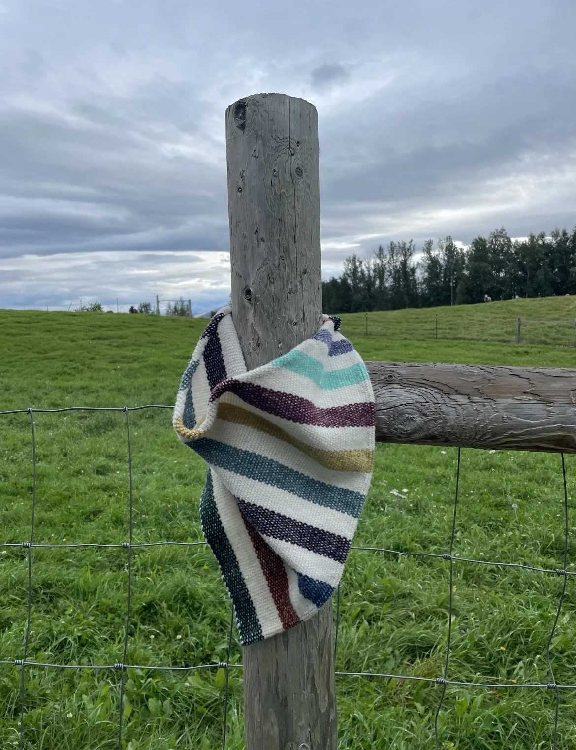 Store — Yule Farm, LLC