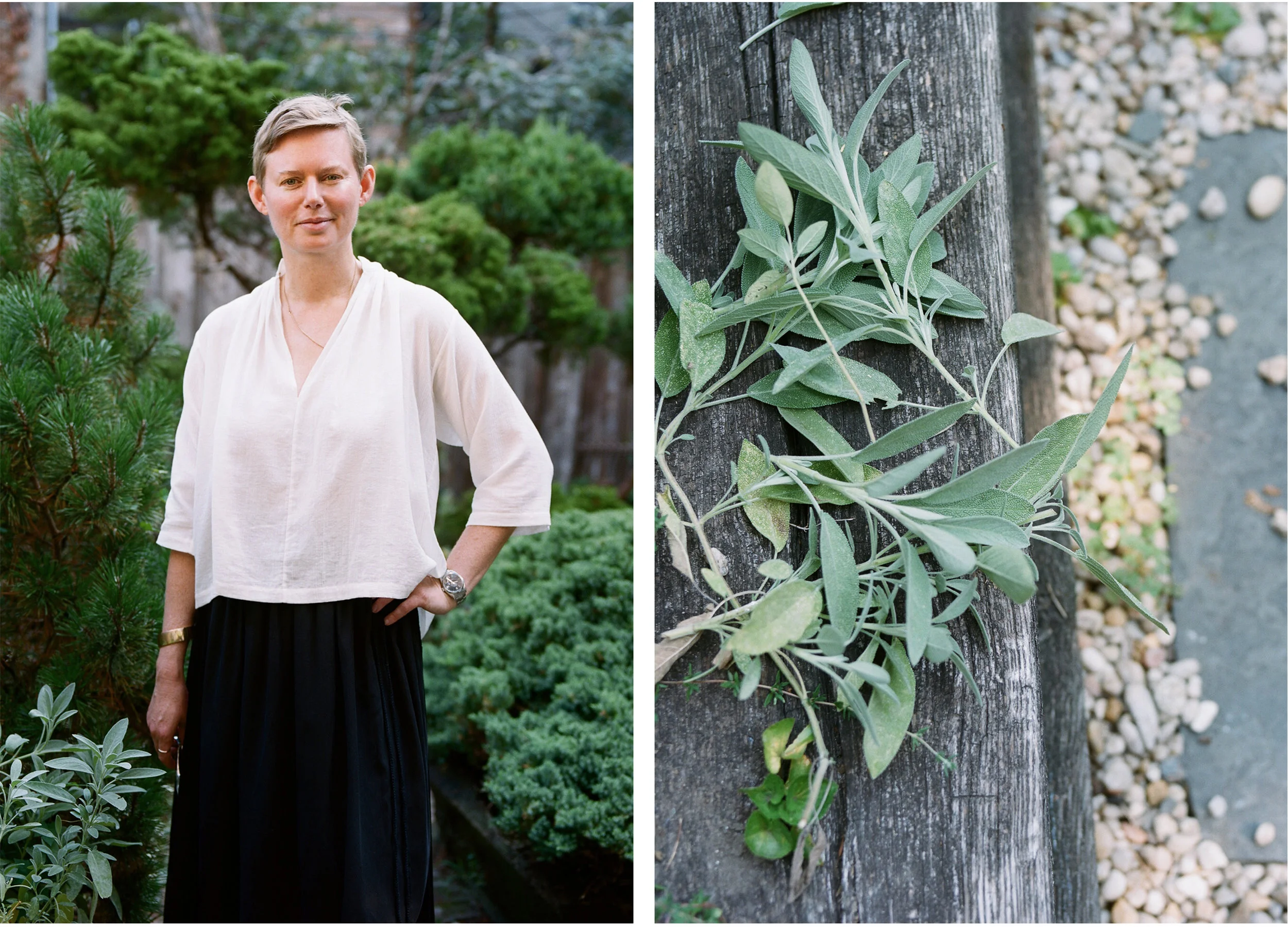 press — Yolo Journal