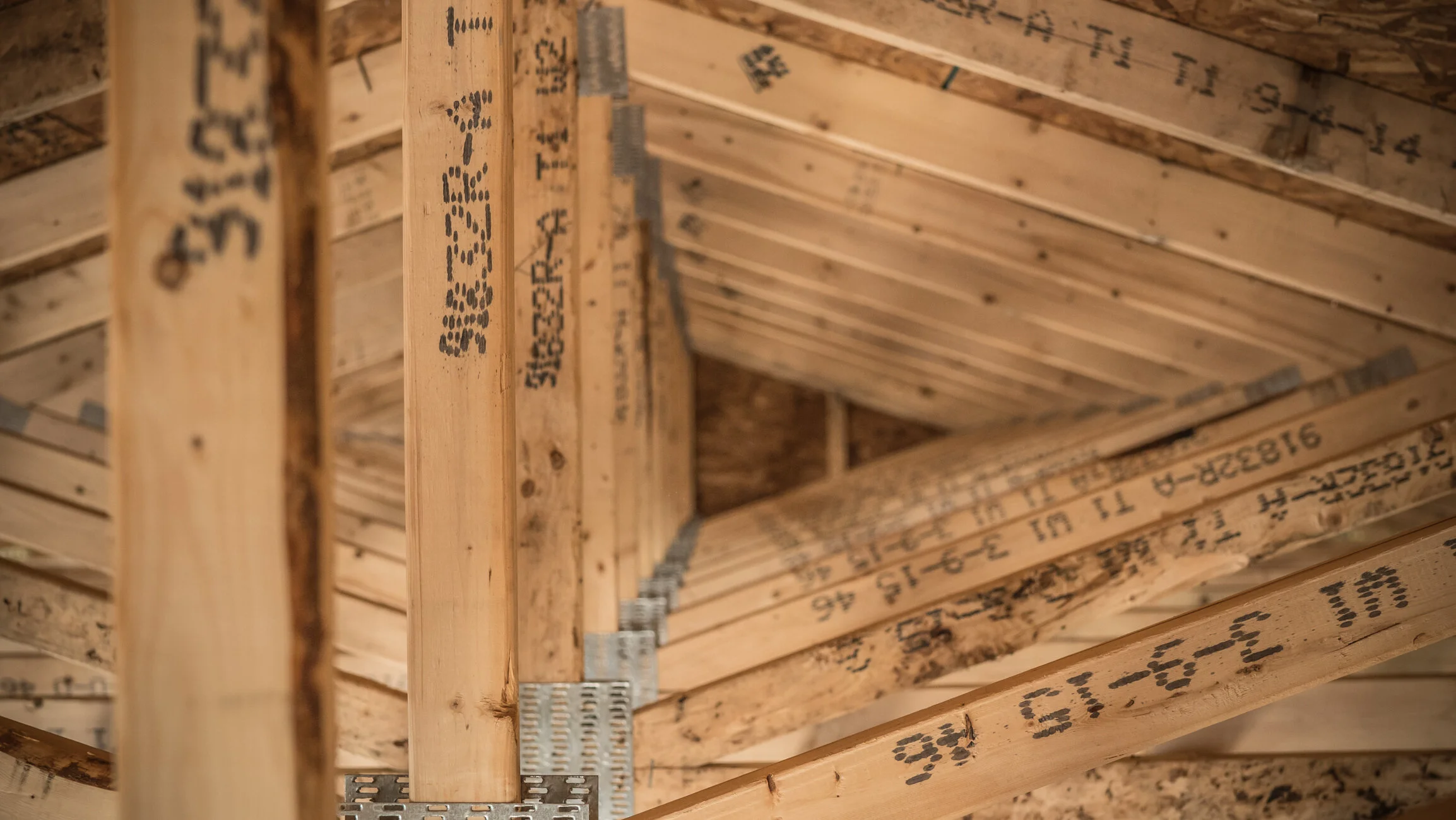 Caper Developments Ltd.