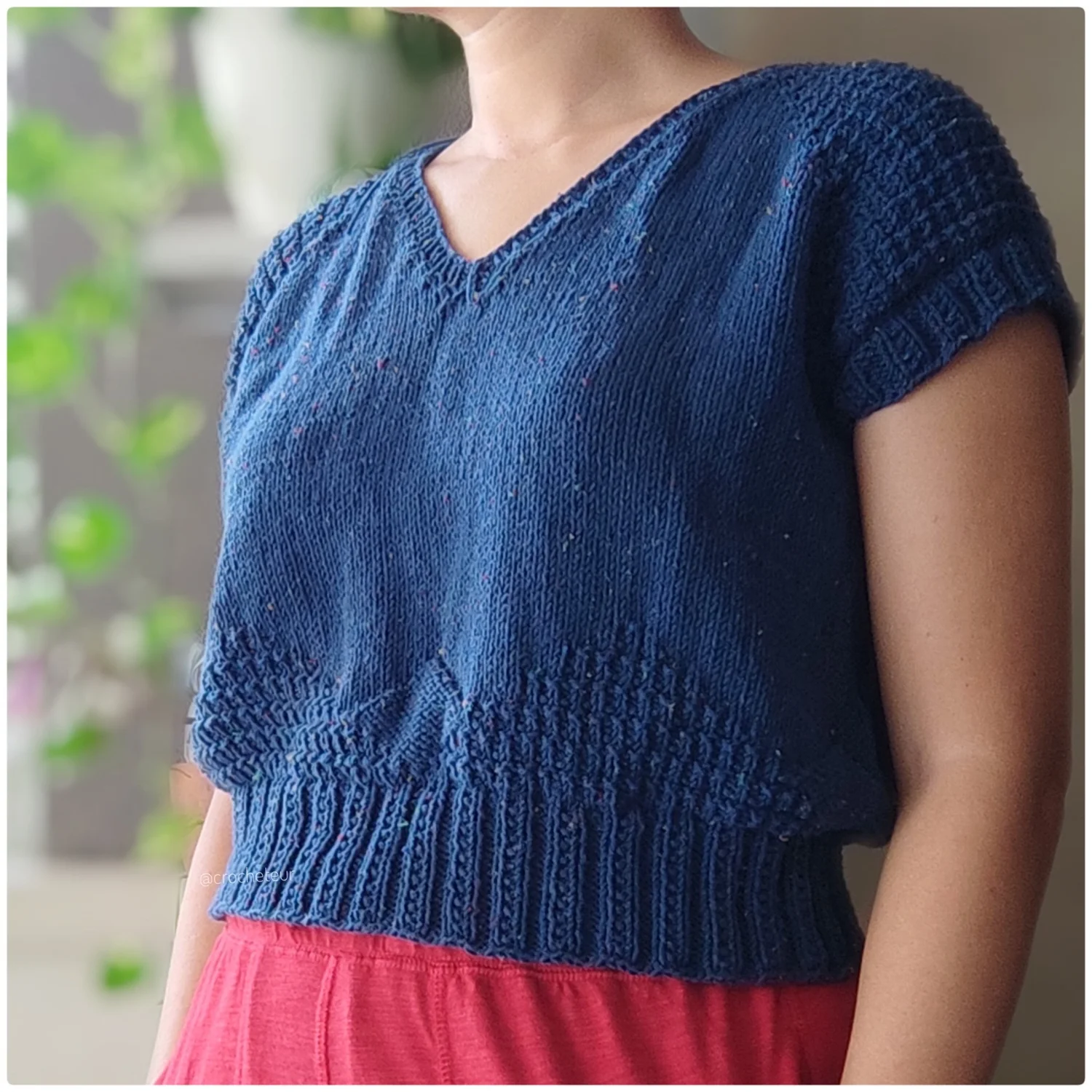 Zero Crops Given Crop Top Part 2 — Ravin Sekai Designs