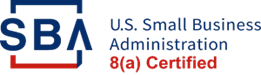 Designations & NAICS Codes — Software Consulting