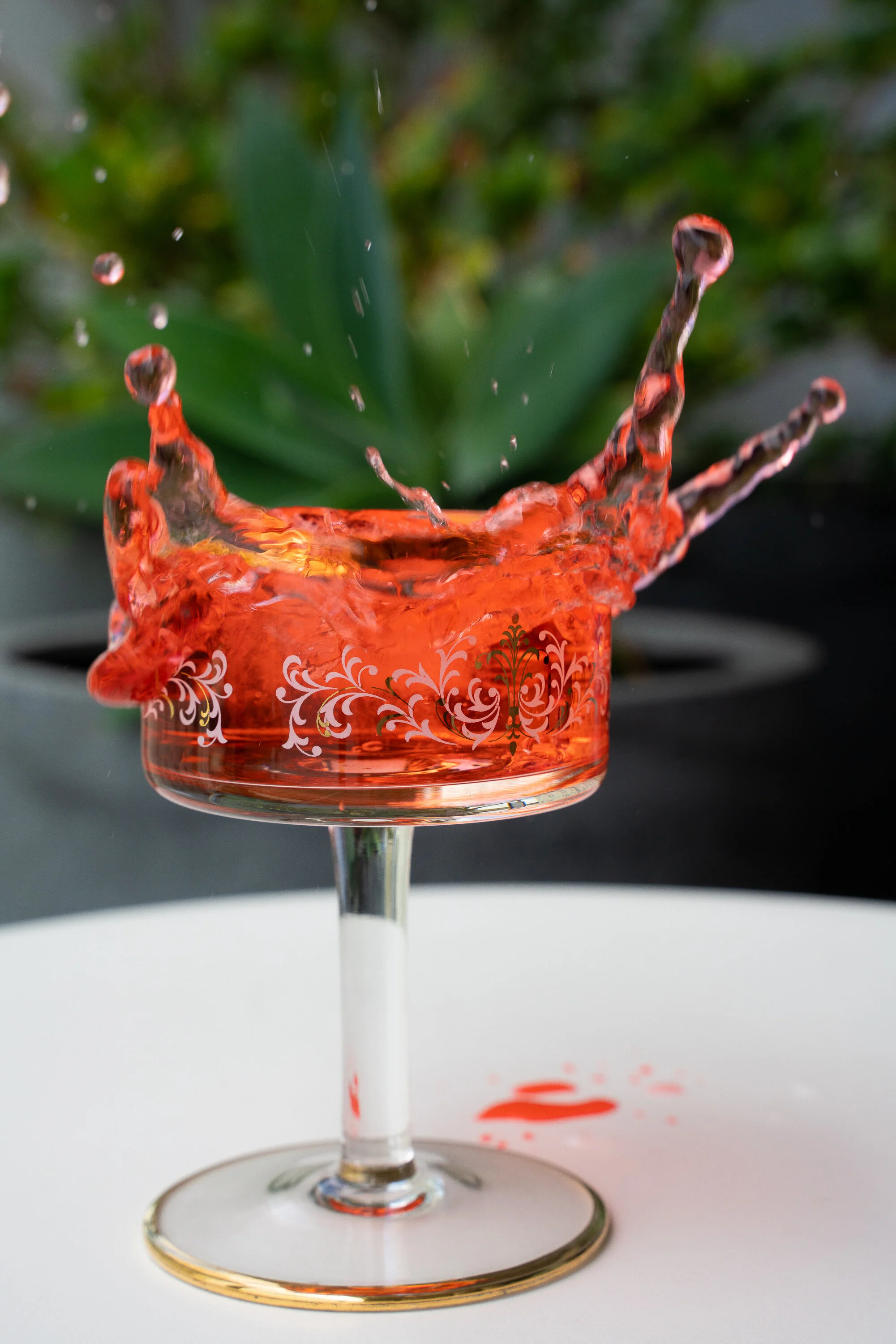 Five Tips For Splash Photography — sue sinko photography