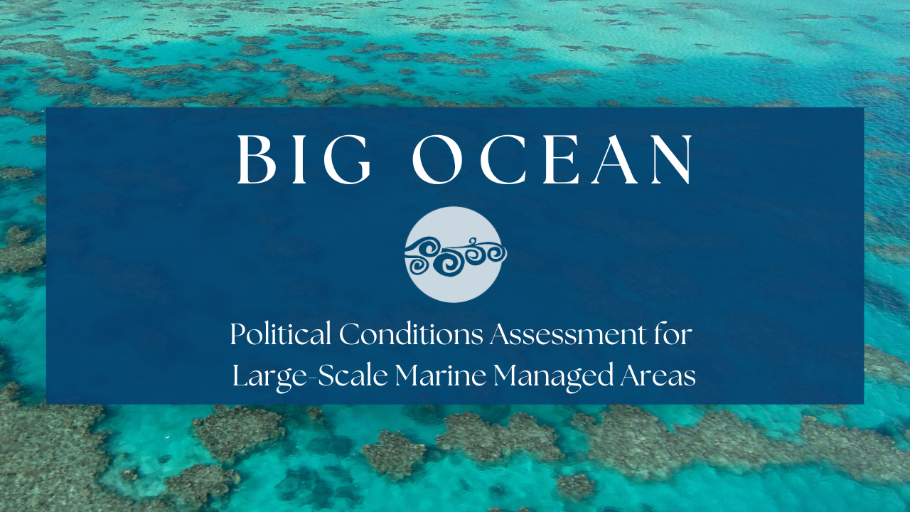 Assessing the Political Landscape for Ocean Conservation at Scale — Big ...