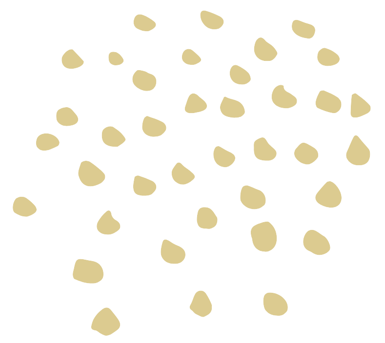 Events | Shantarasa Yoga Darshana