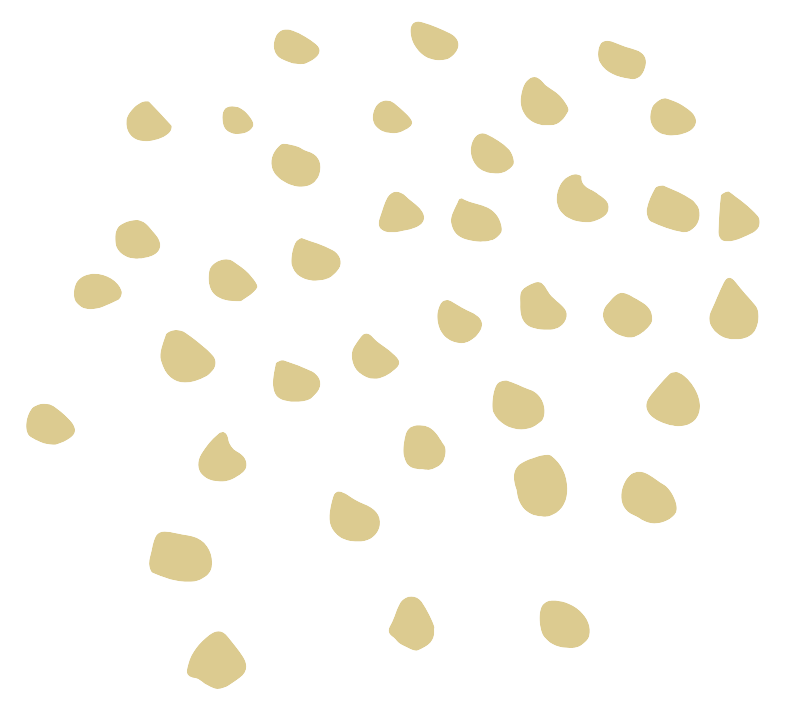 Events | Shantarasa Yoga Darshana