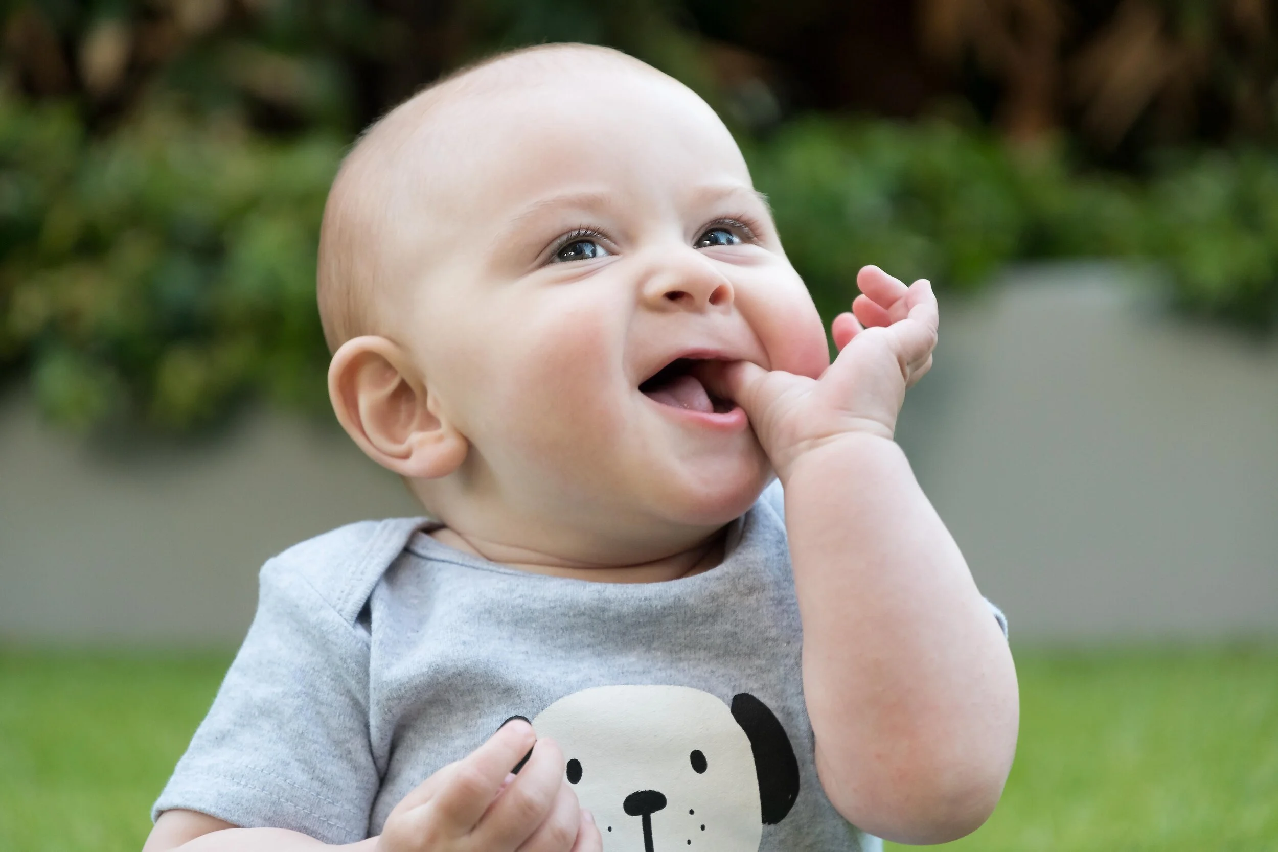 Gold Coast Photographer | Scott Hardy Photography