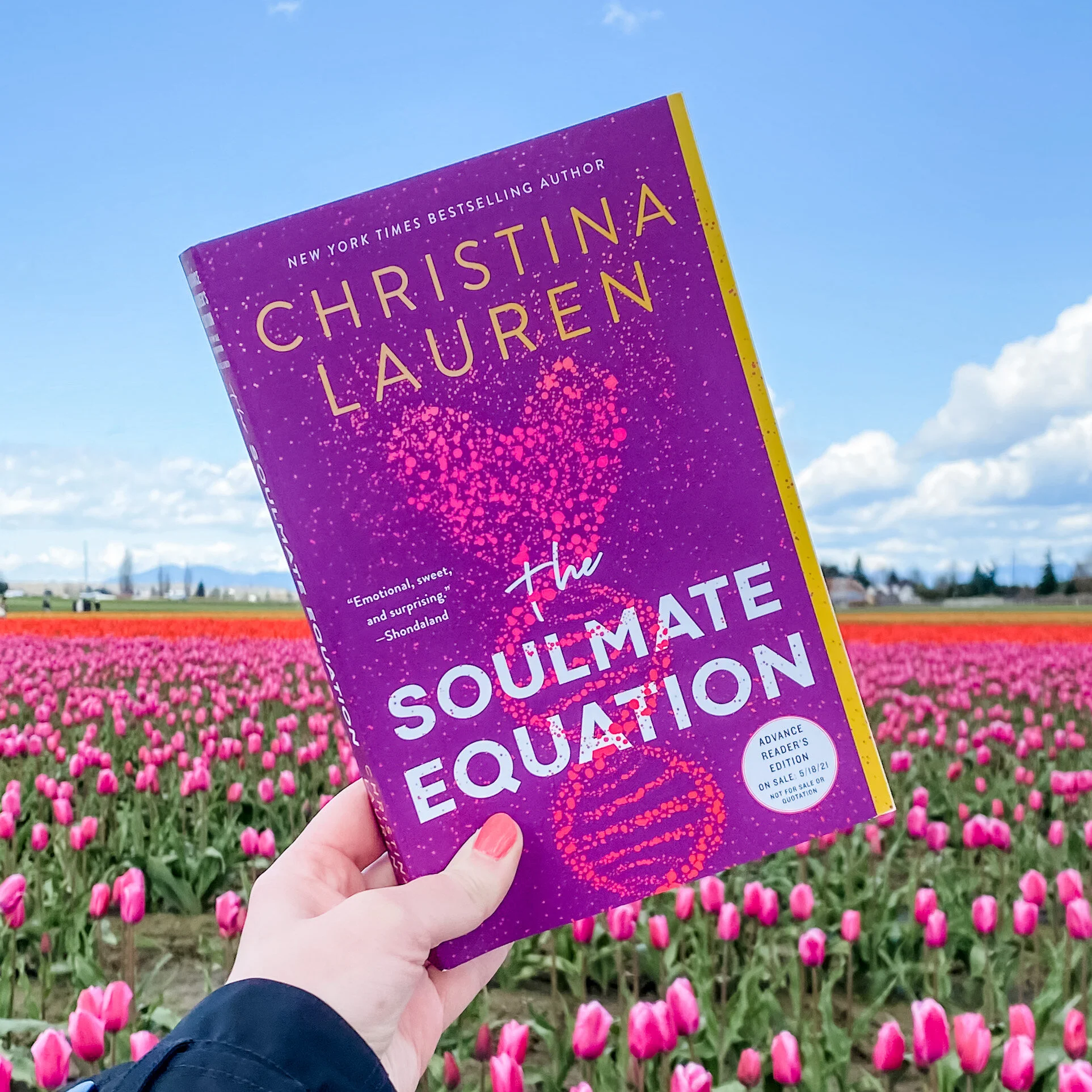 The Soulmate Equation Latest Book Crush