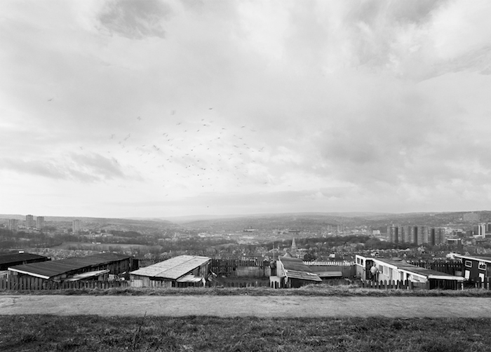 JOHN DAVIES — L. PARKER STEPHENSON