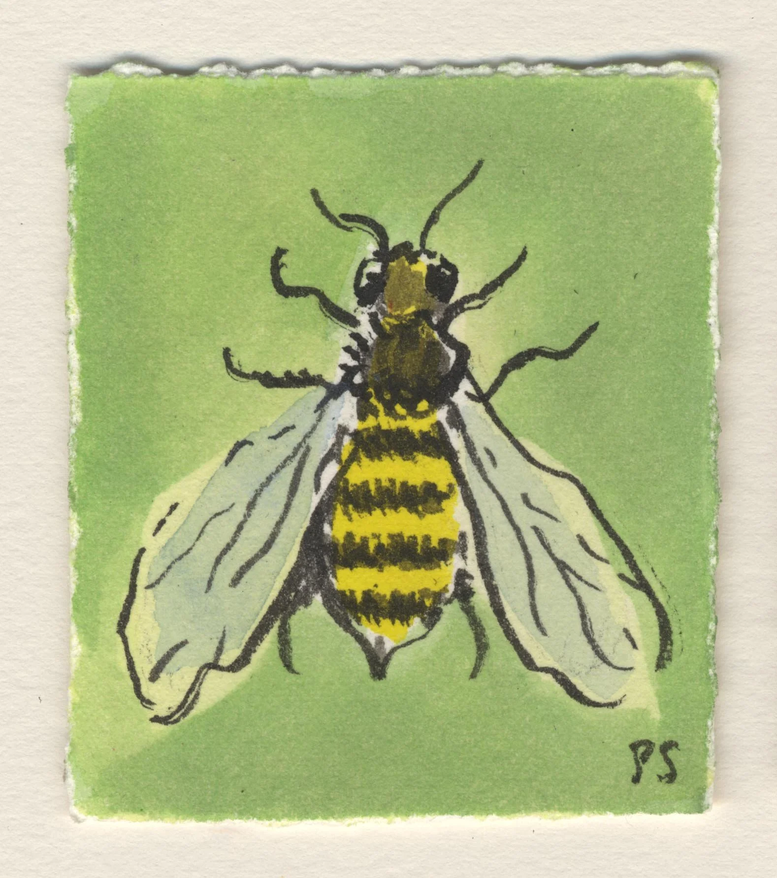 Original Art — PAIGE SPEARIN