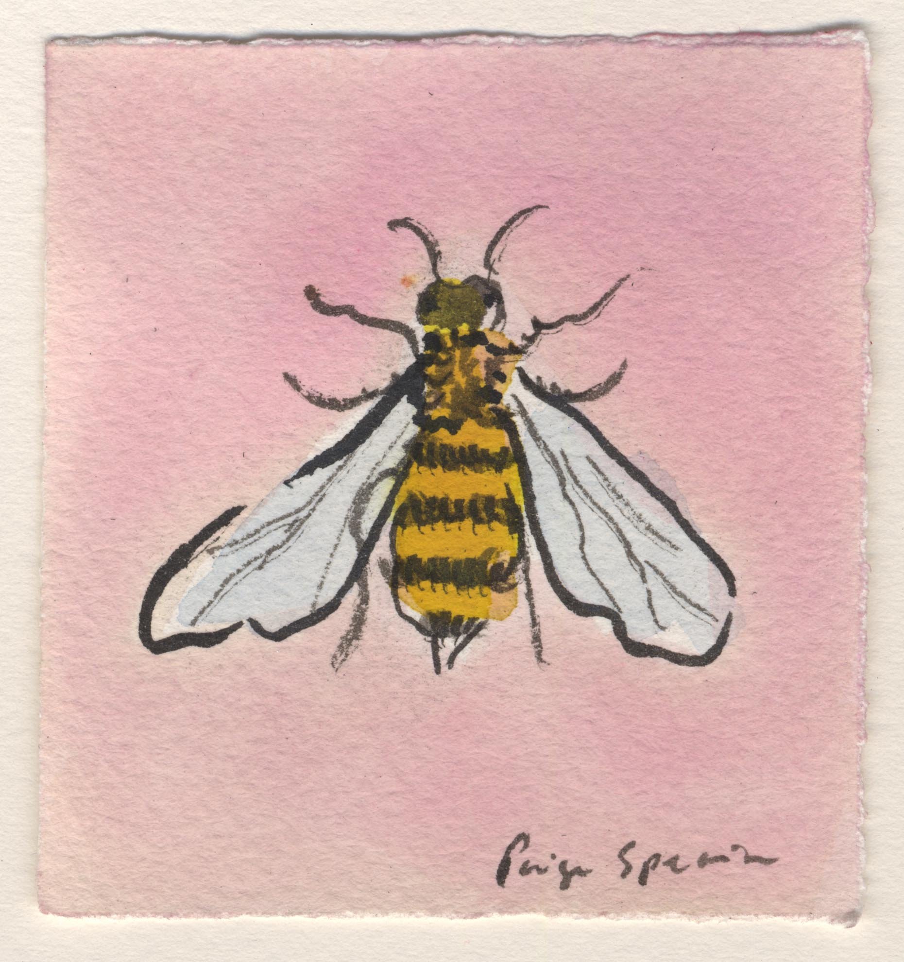 Original Art — PAIGE SPEARIN