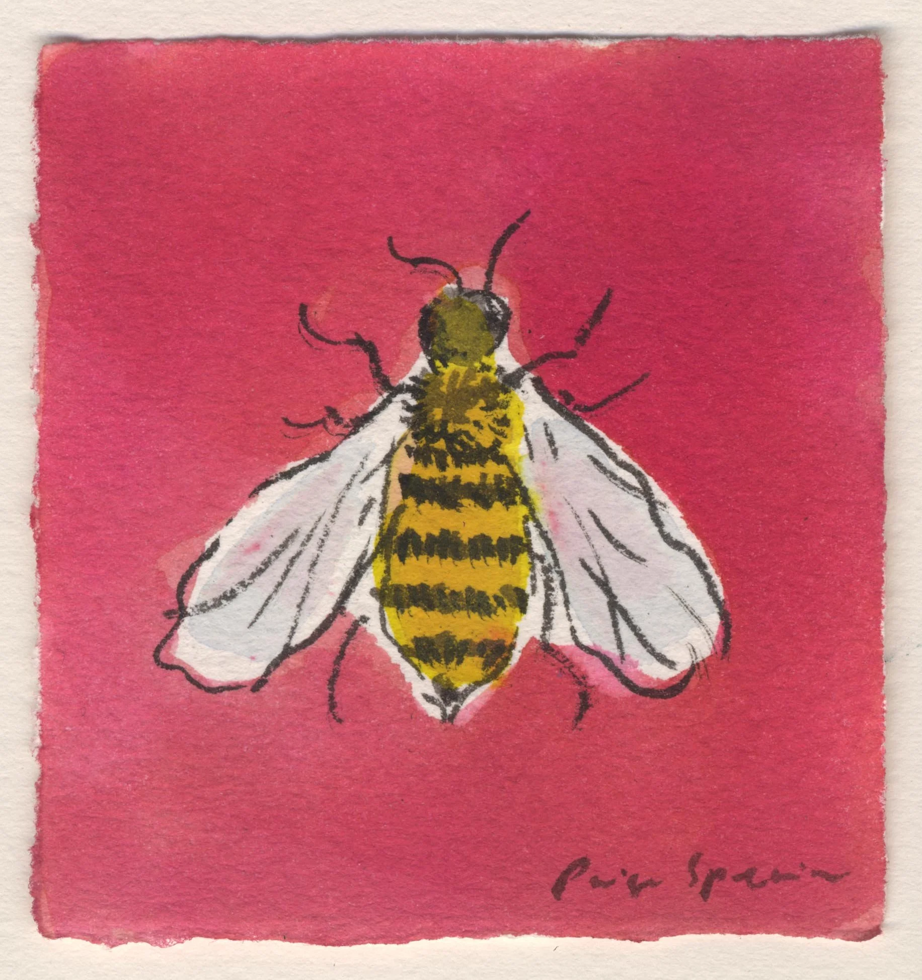 Original Art — PAIGE SPEARIN