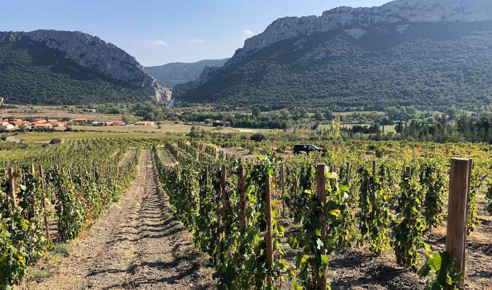 Award Winning French Wines - Red, White, Rosé - Res Fortes Winery