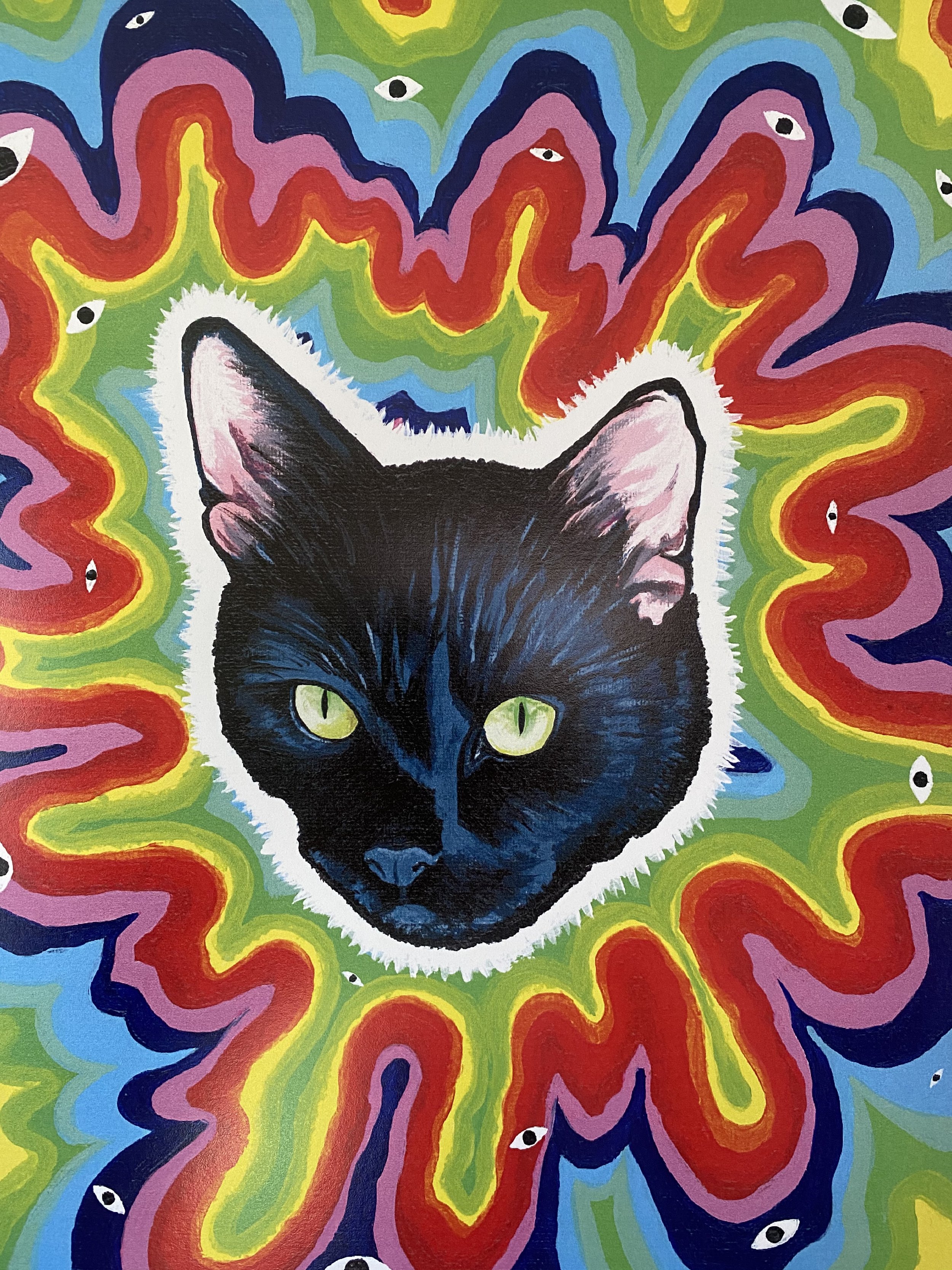 Trippy Cat Facebook Covers