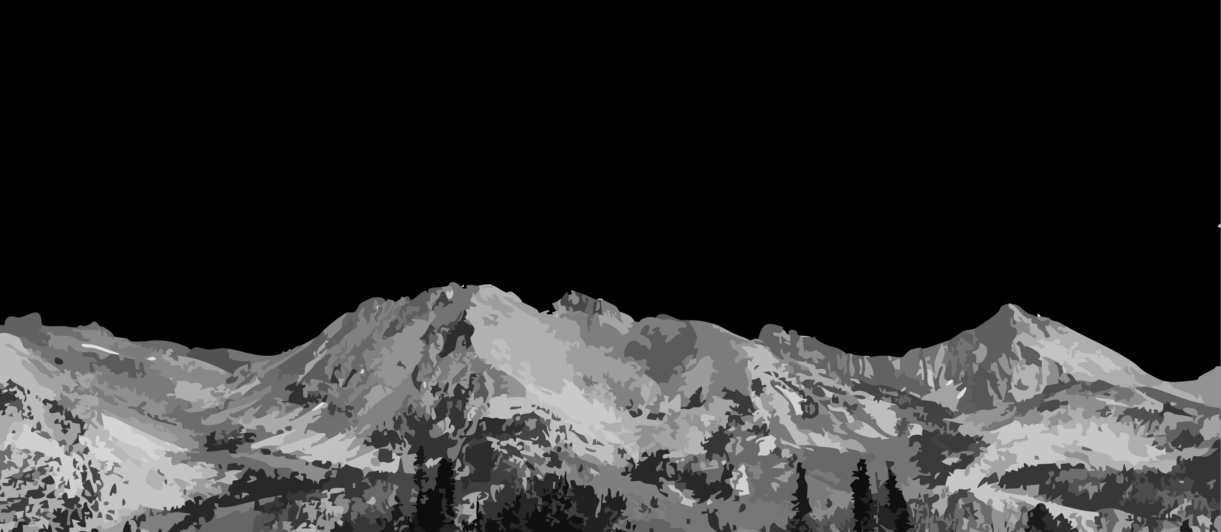 4D56 Performance Packages