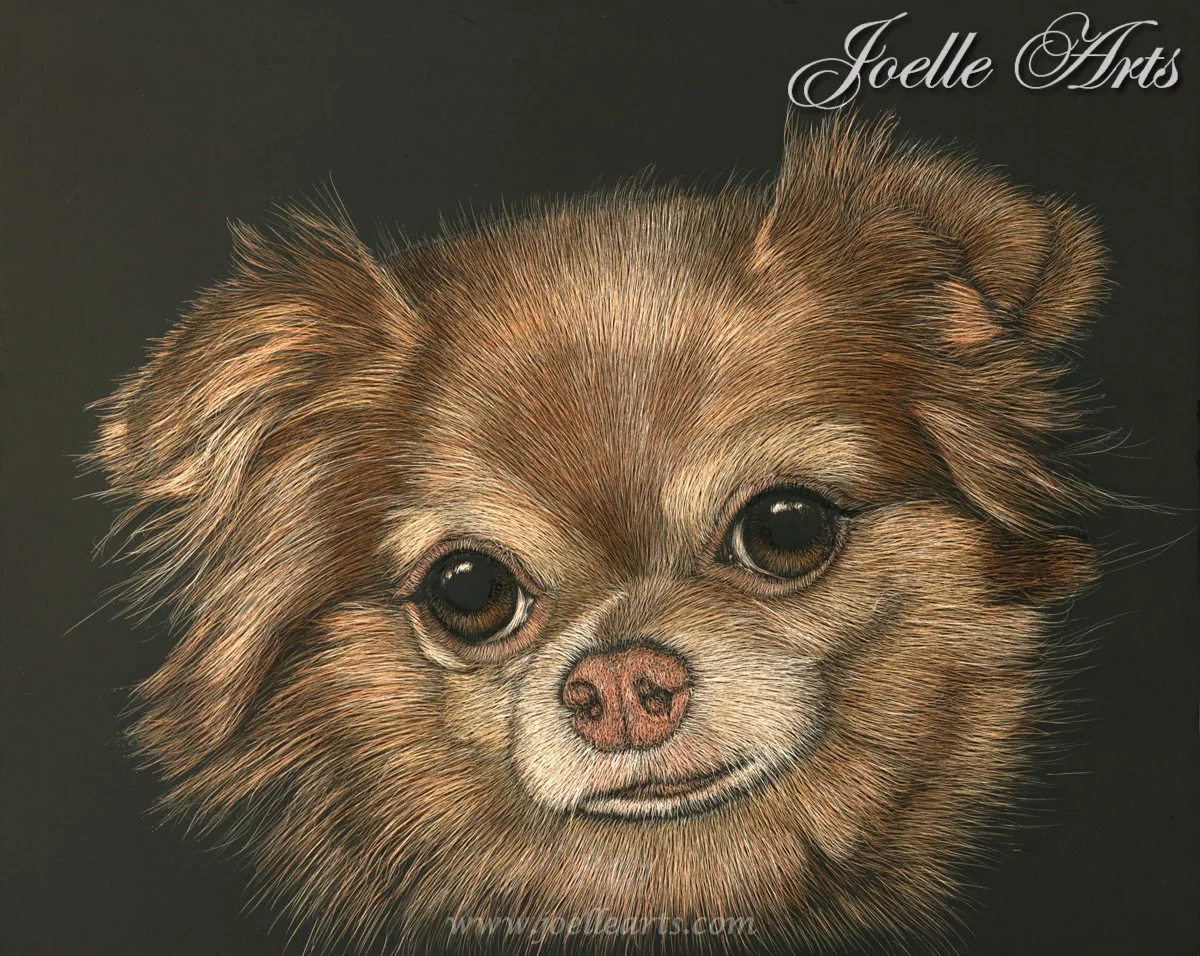 Commissions — Joelle Arts