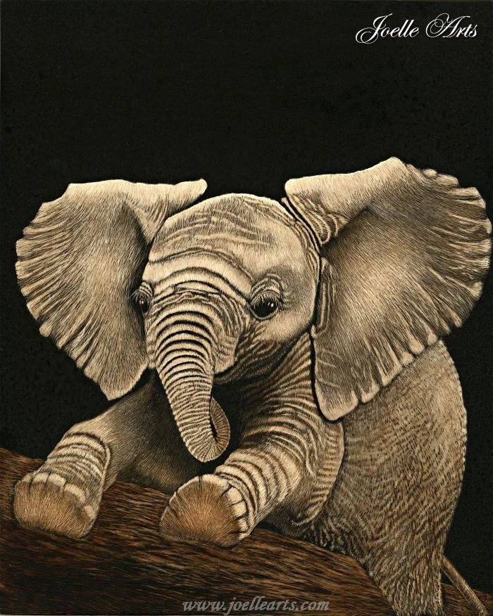 Wildlife Scratchboard Art — Joelle Arts