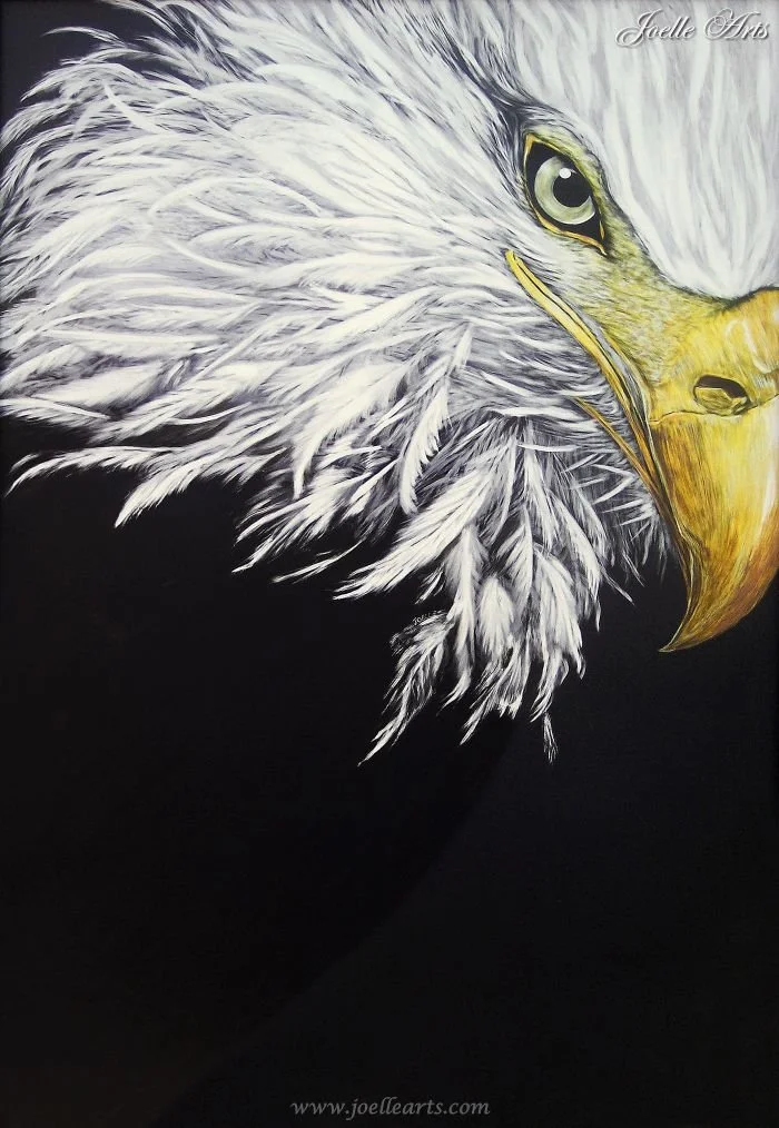 Wildlife Scratchboard Art — Joelle Arts