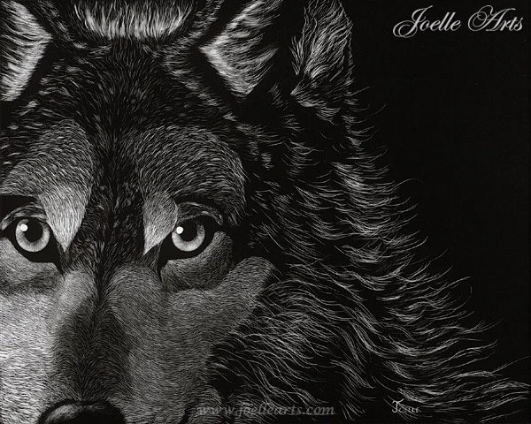 Wildlife Scratchboard Art — Joelle Arts