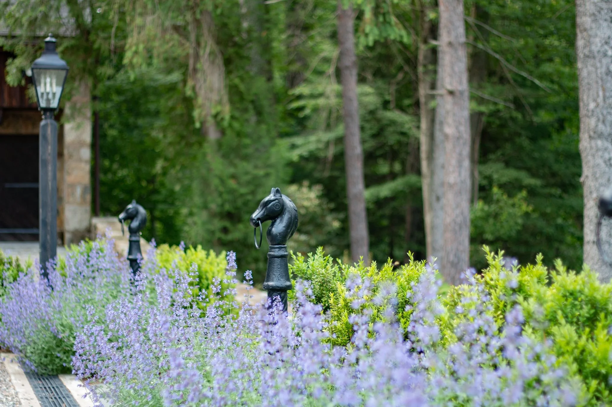 Enjoy the Sounds and Views of Natural, Lush Landscaping This Spring in ...