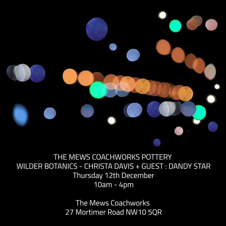 Christa Davis - Clothings & Accessories