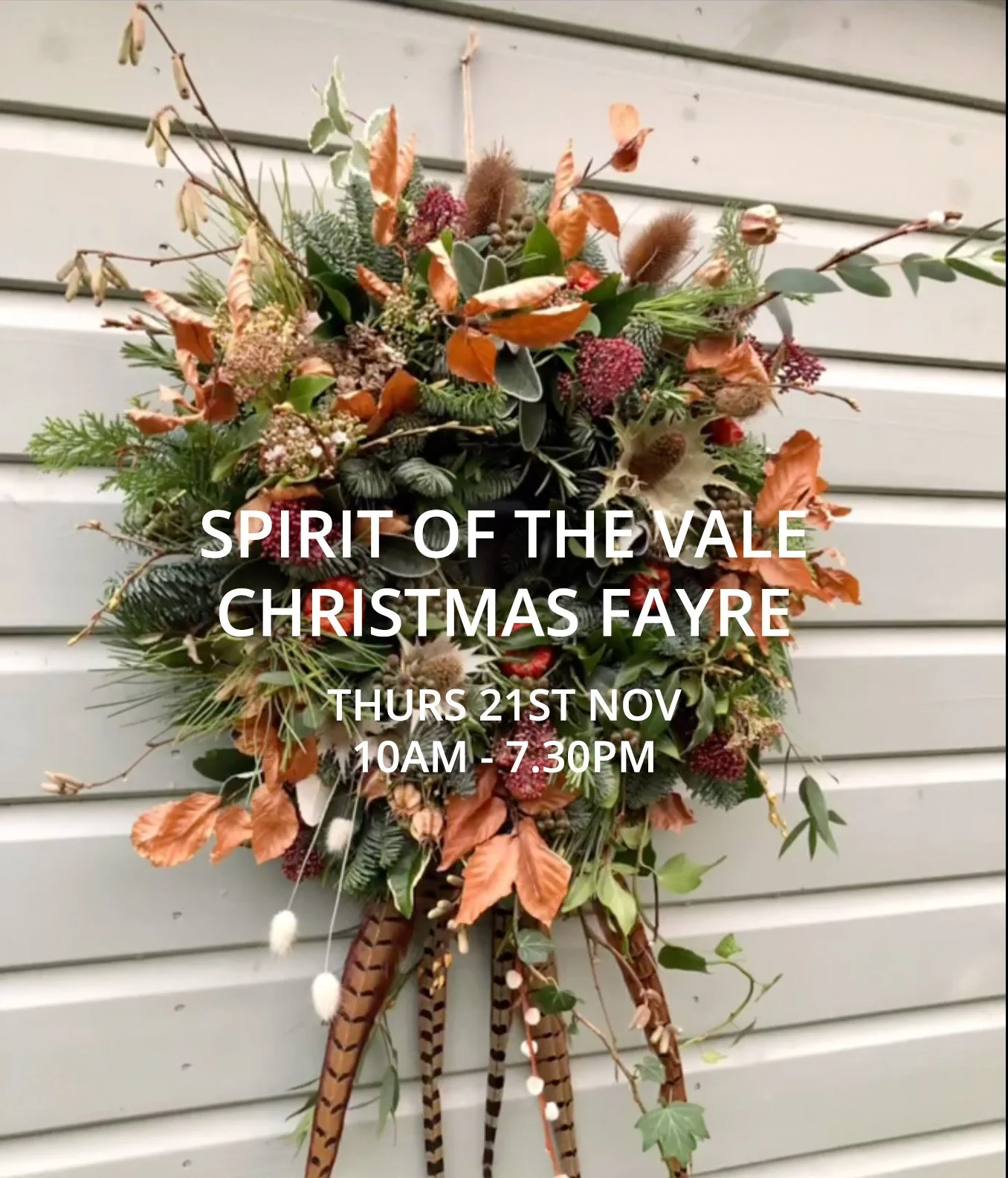 Christa Davis - Clothings & Accessories