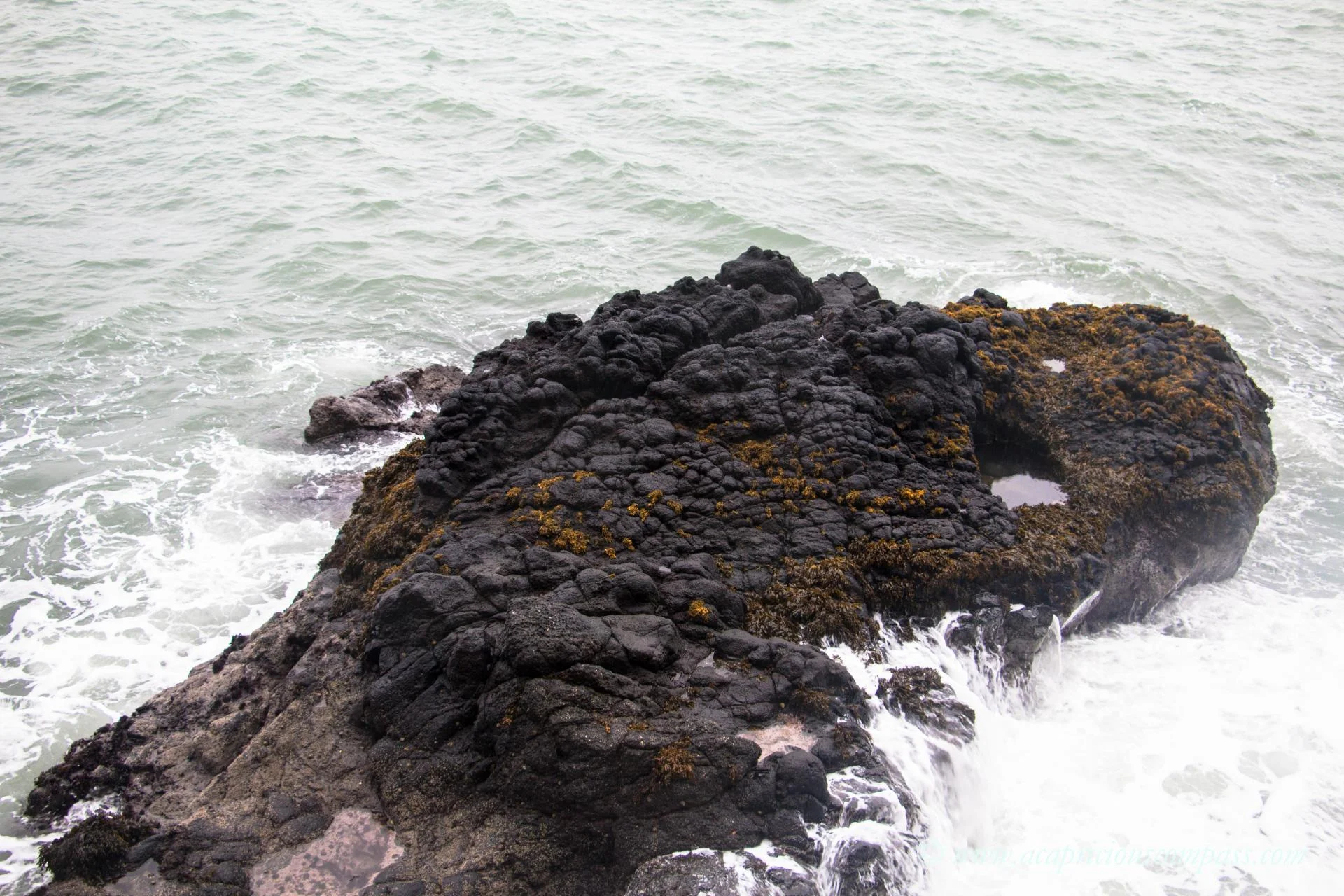 Gobbins Cliff Walk | Cliffs, Seawaves & Gulls — Continent Hop