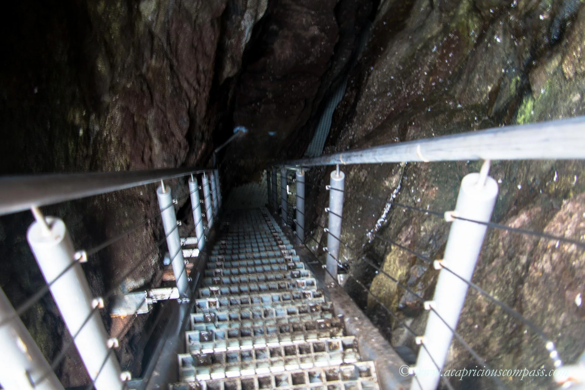 Gobbins Cliff Walk | Cliffs, Seawaves & Gulls — Continent Hop