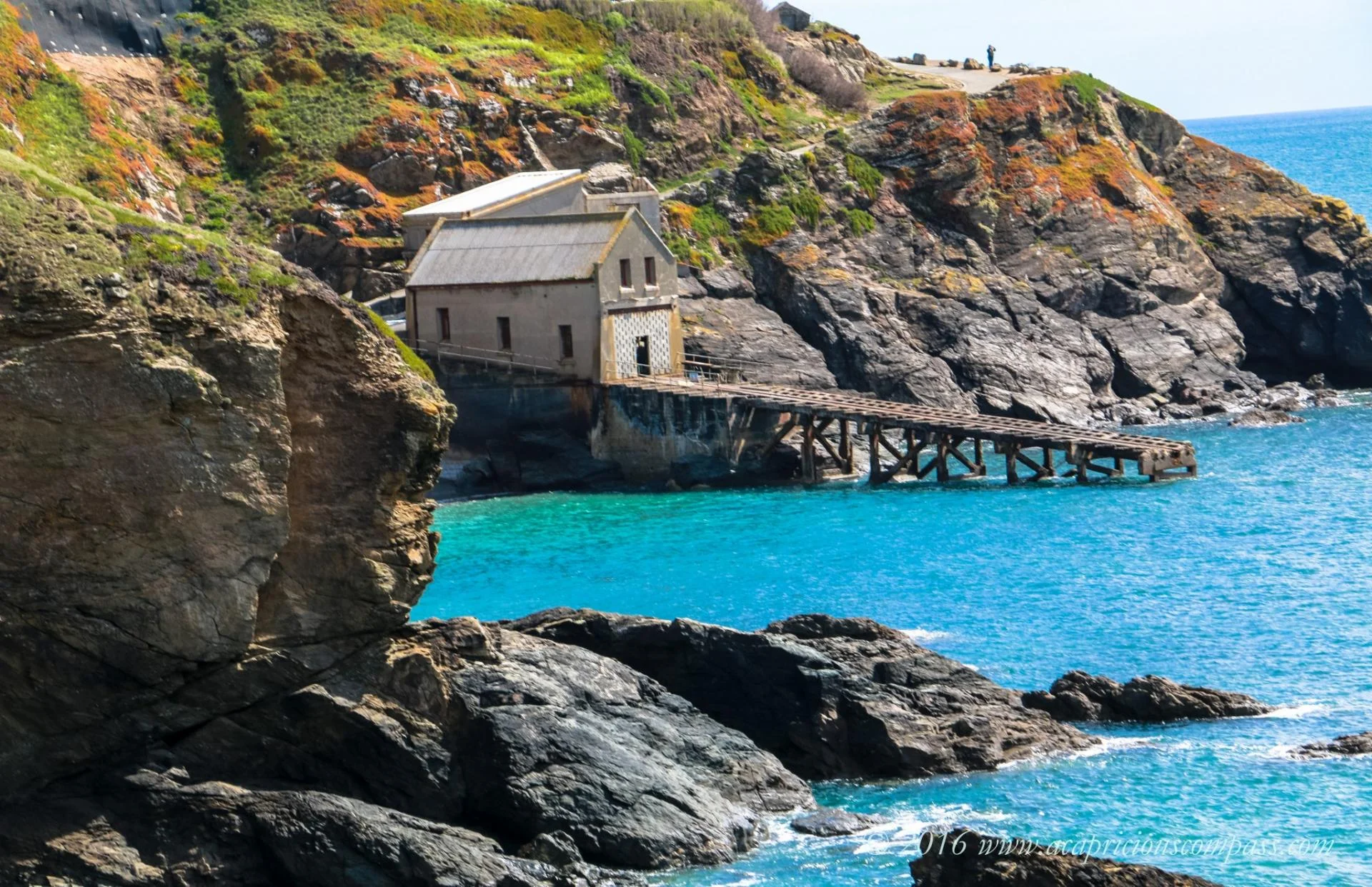 Lizard Cornwall Things to do | A Lizard You'll Love (2023) — Continent Hop