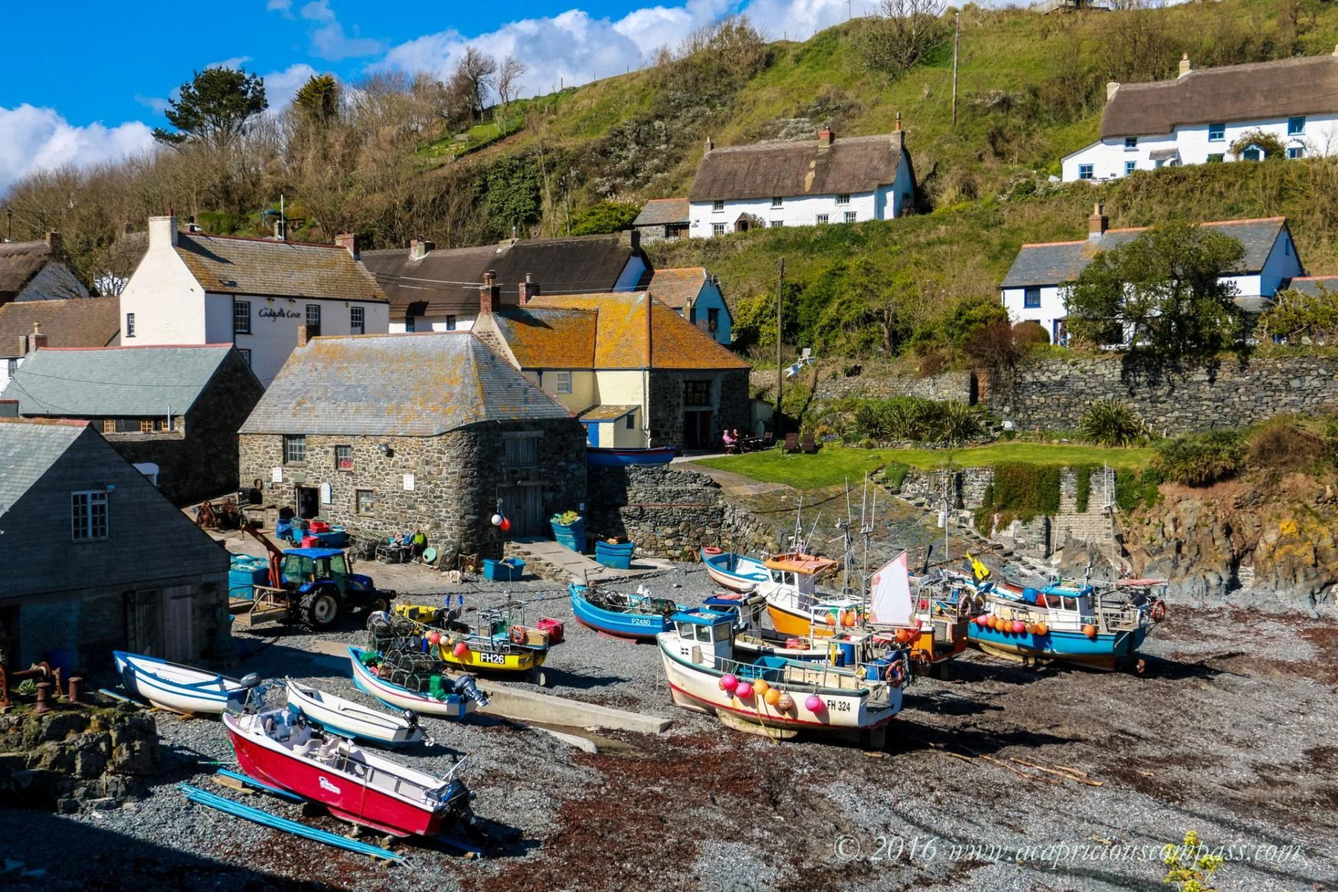 Lizard Cornwall Things to do | A Lizard You'll Love (2023) — Continent Hop